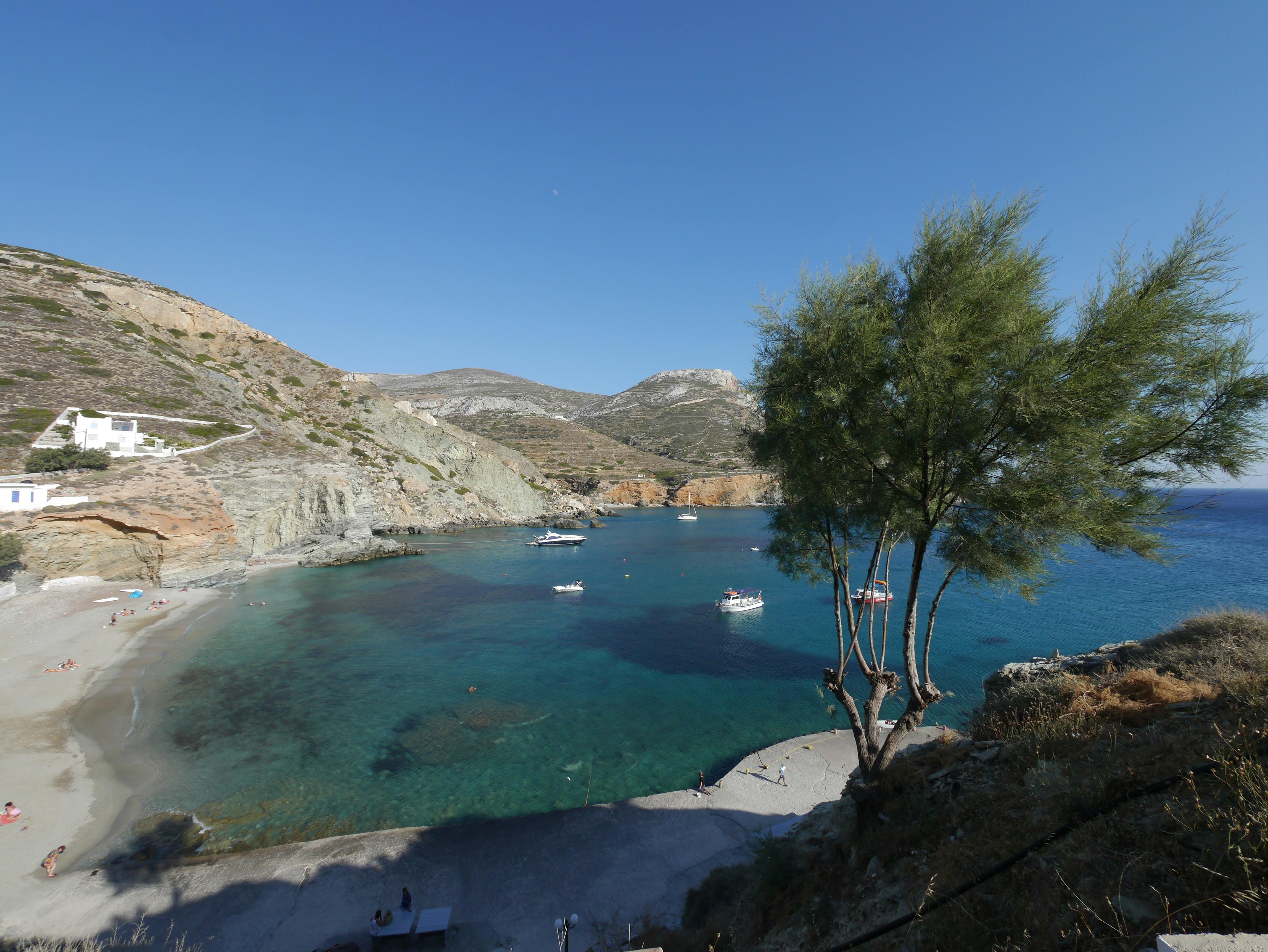 Indigo Tree Photos, Download The BEST Free Indigo Tree Stock Photos ...