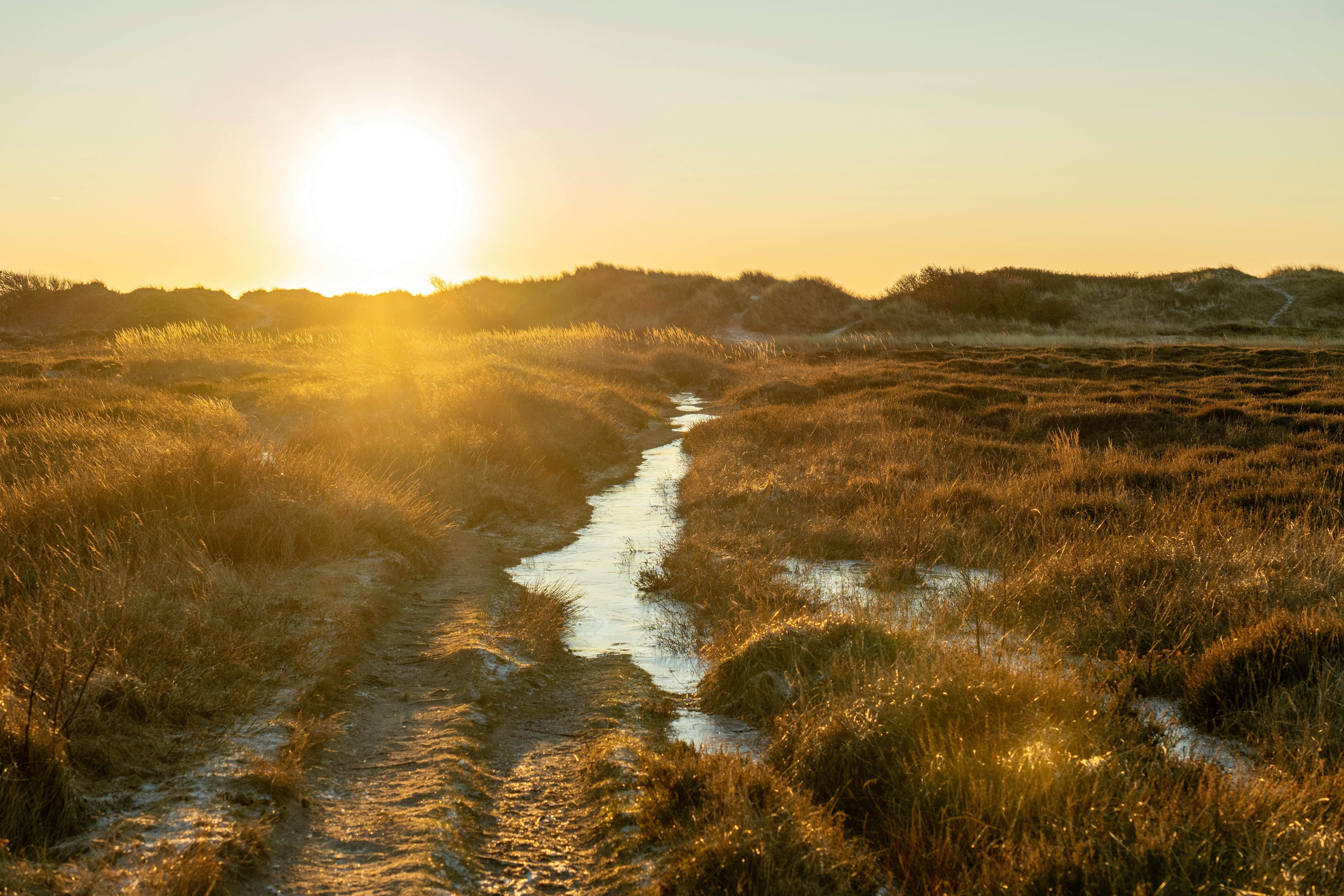 Path To Sunrise Photos, Download The BEST Free Path To Sunrise Stock ...