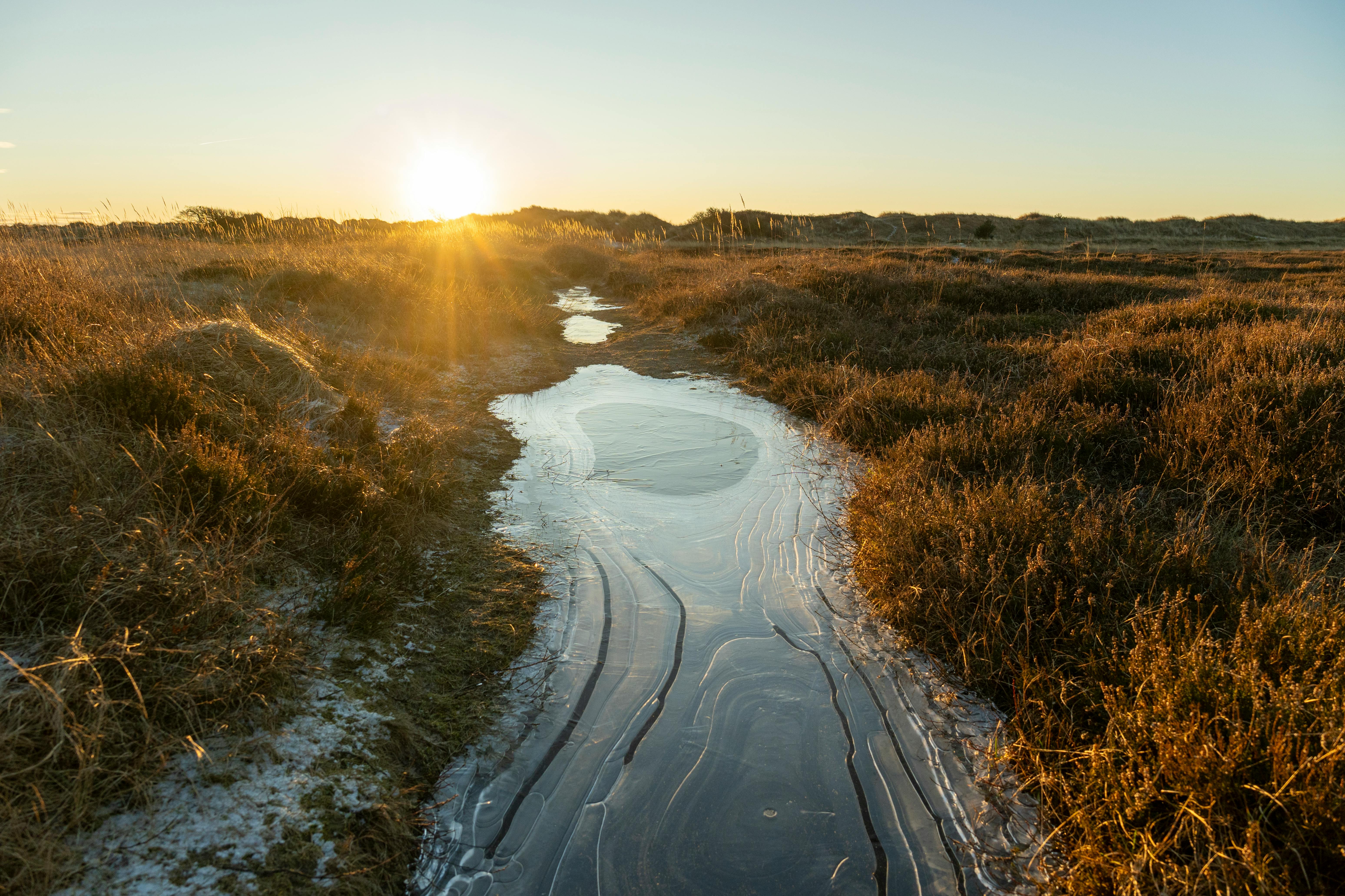 Serene Winter Landscape with Icy Stream at Sunrise · Free Stock Photo
