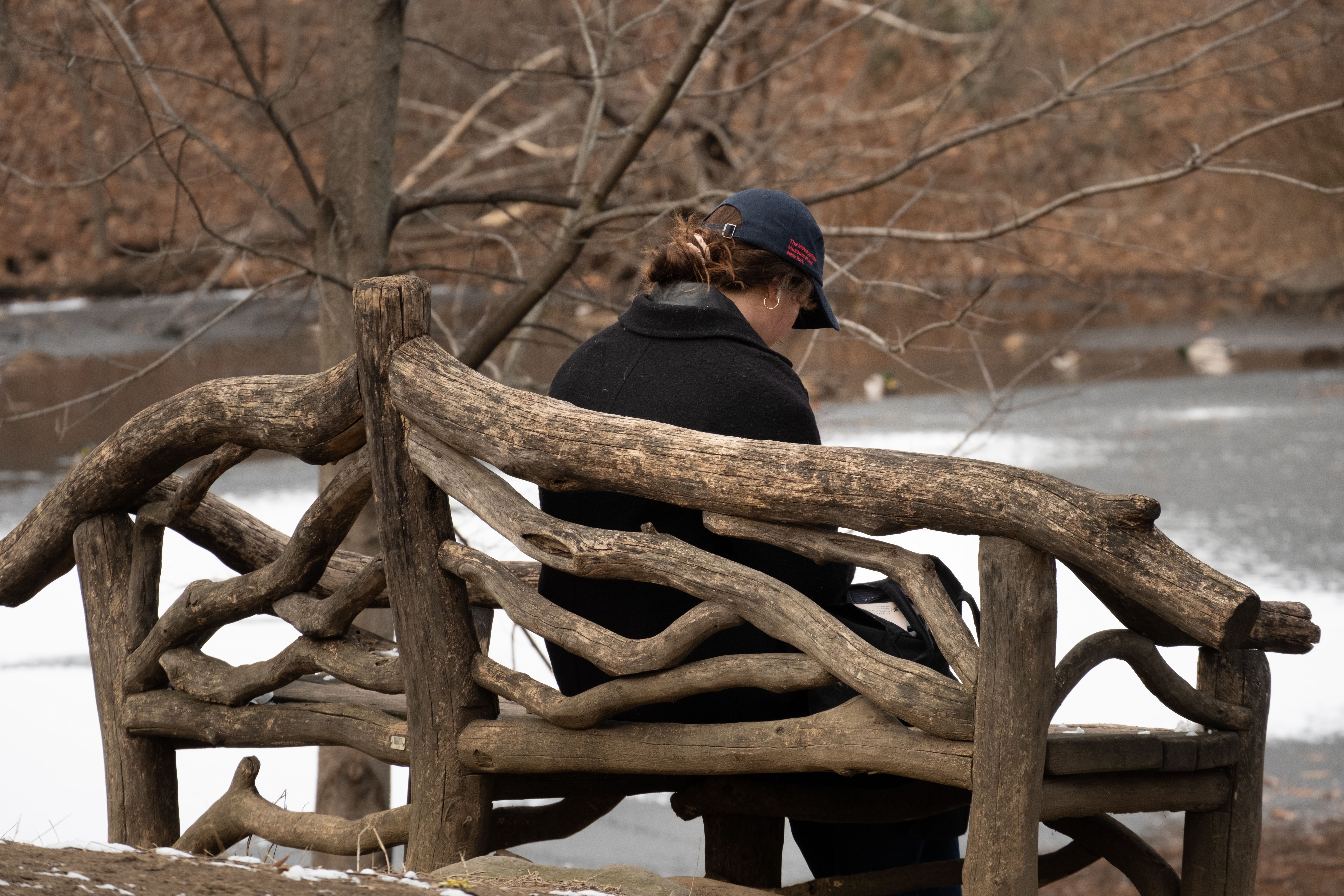 Tranquil Winter Scene Behind Rustic Bench · Free Stock Photo