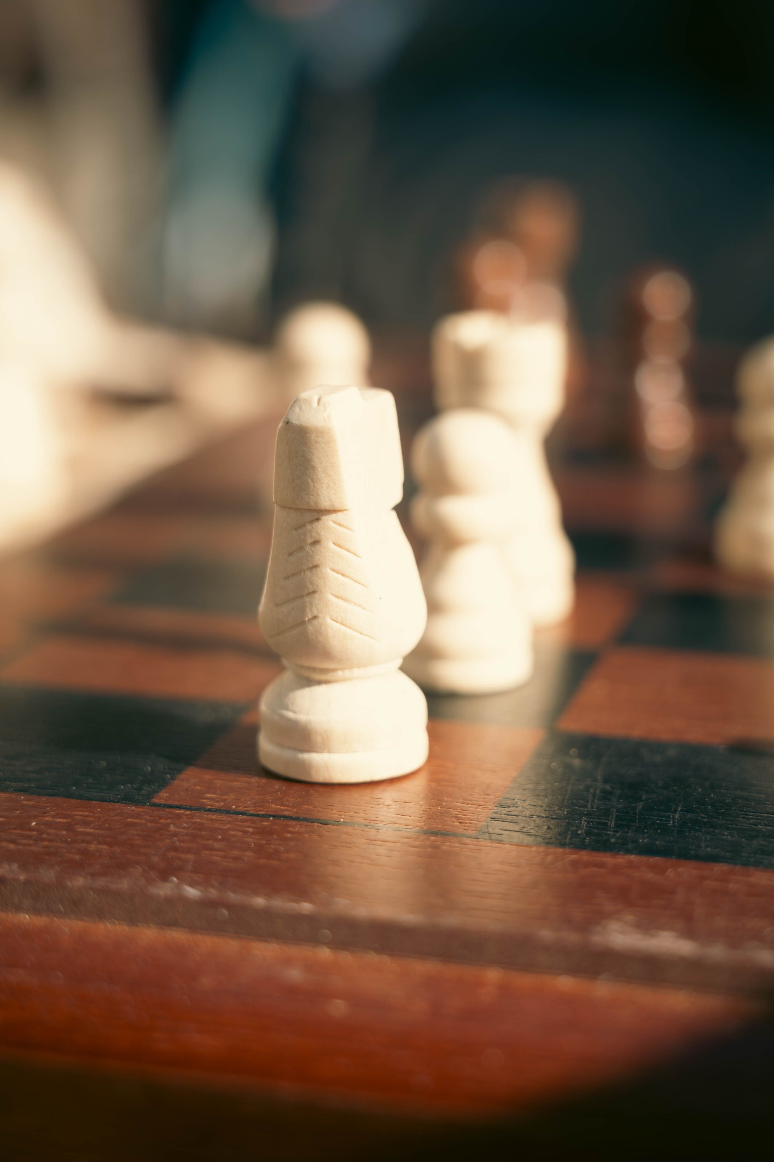 Close-Up of Chess Knight on Wooden Board · Free Stock Photo