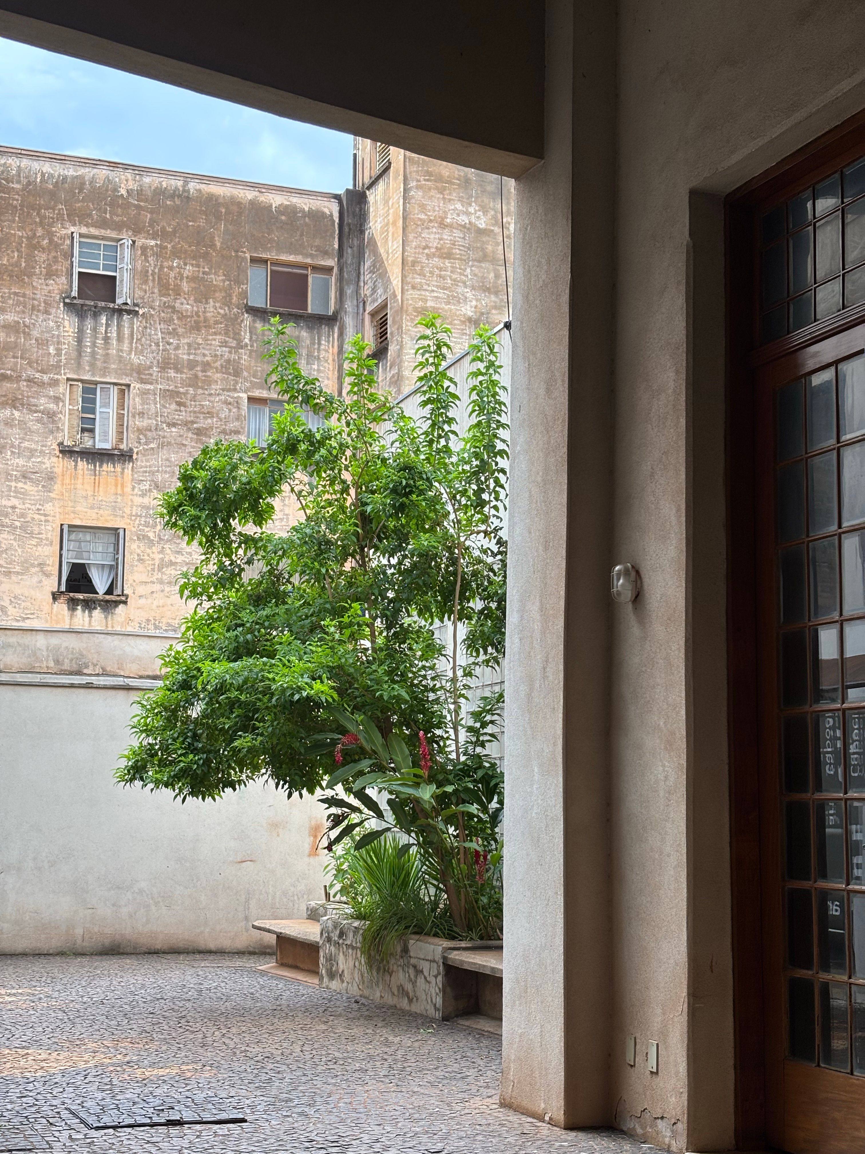 Rustic Courtyard with Lush Green Foliage · Free Stock Photo