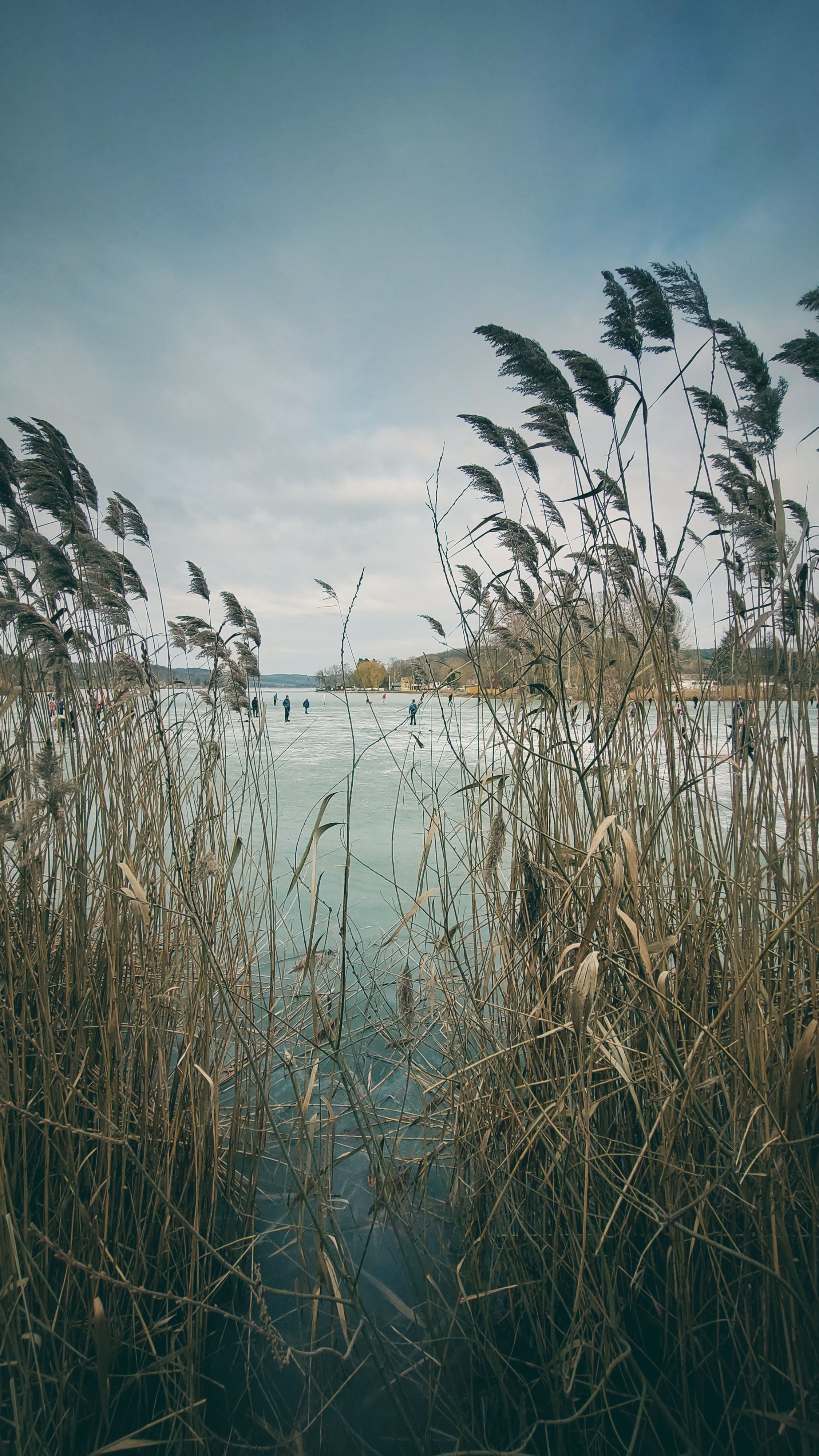 Winter Scene at Frozen Lake in Orfű, Hungary · Free Stock Photo