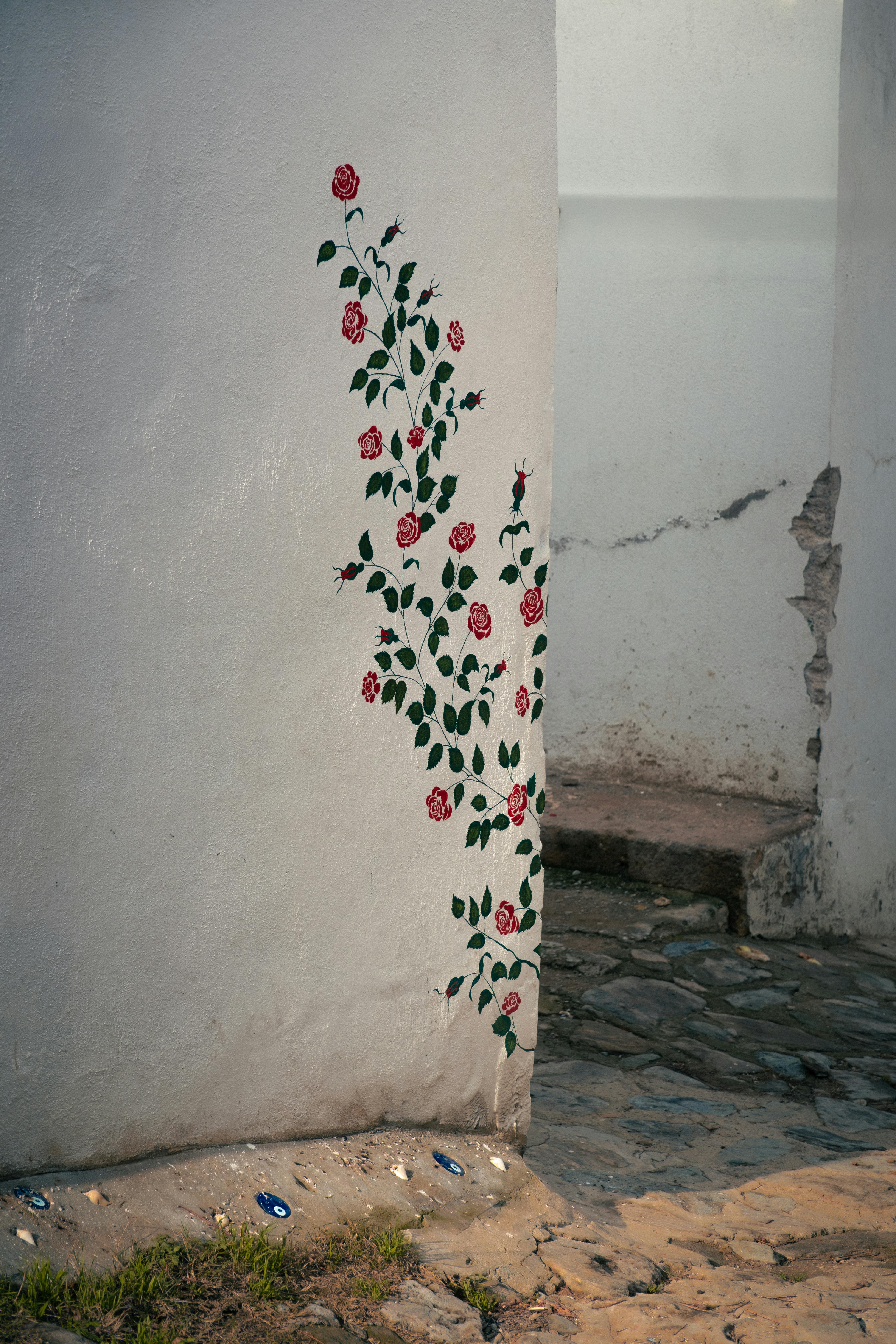 Charming Village Wall with Rose Murals in Türkiye · Free Stock Photo