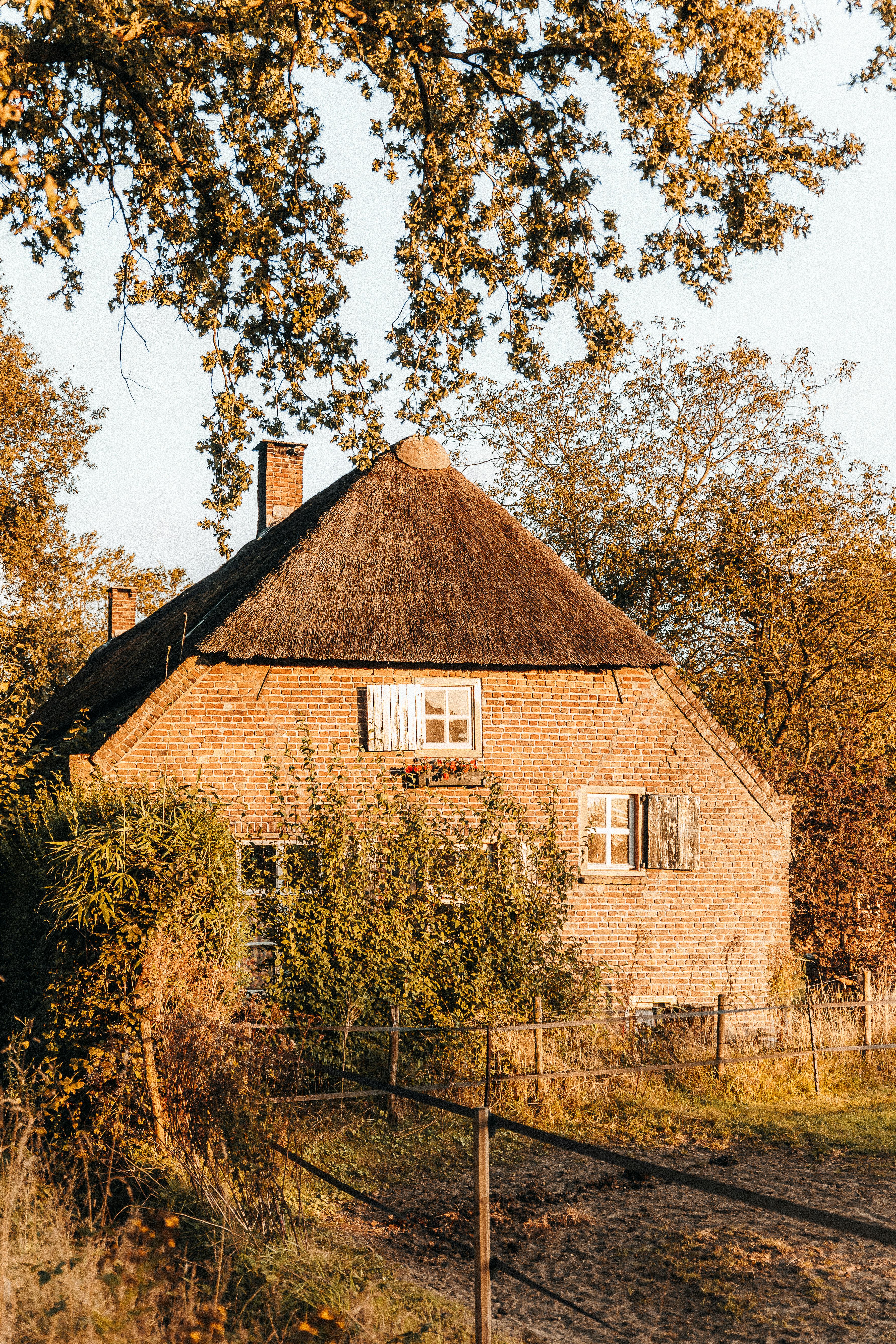 Garden Homestead Photos, Download The BEST Free Garden Homestead Stock ...