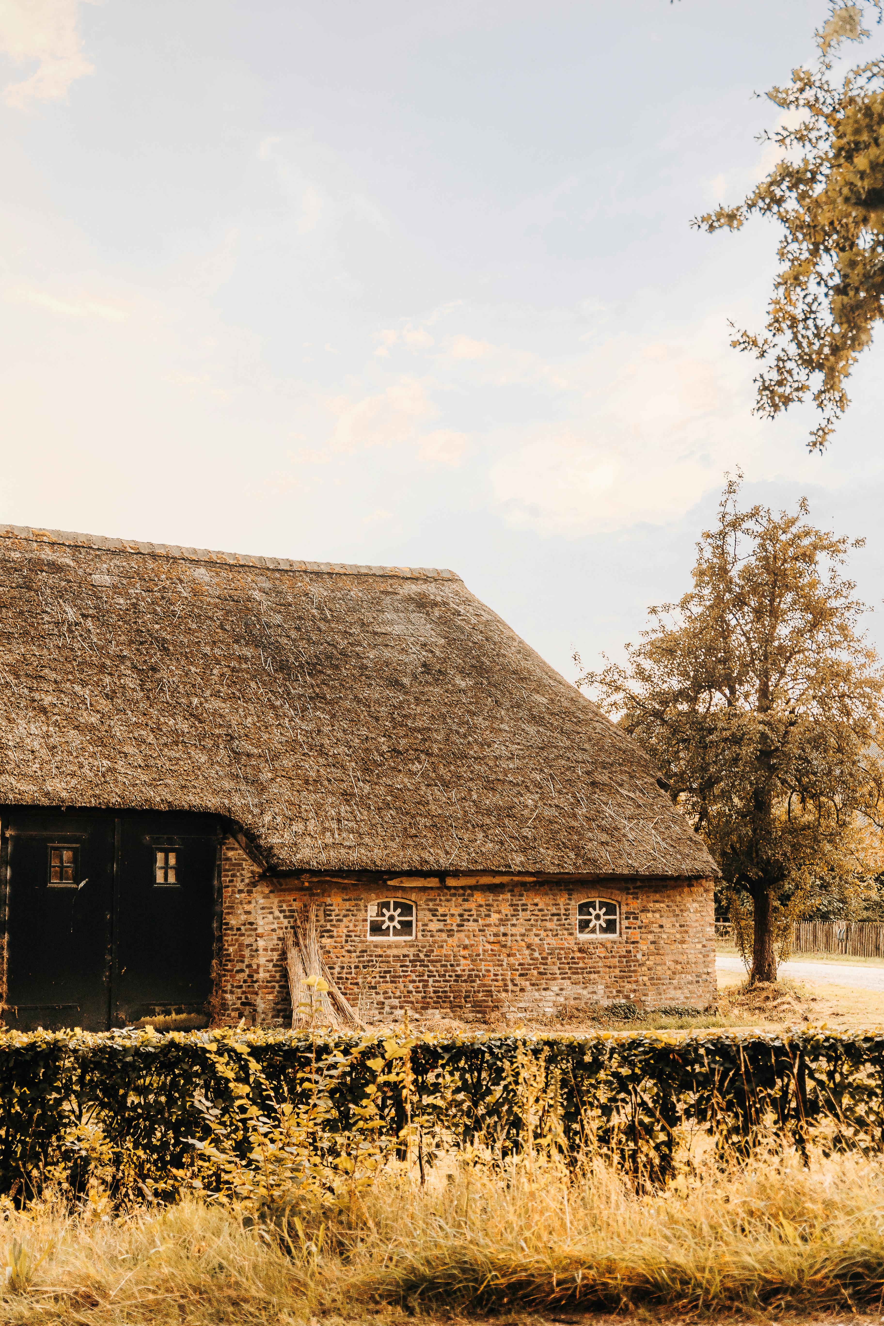 Cottagecore Photos, Download The BEST Free Cottagecore Stock Photos ...