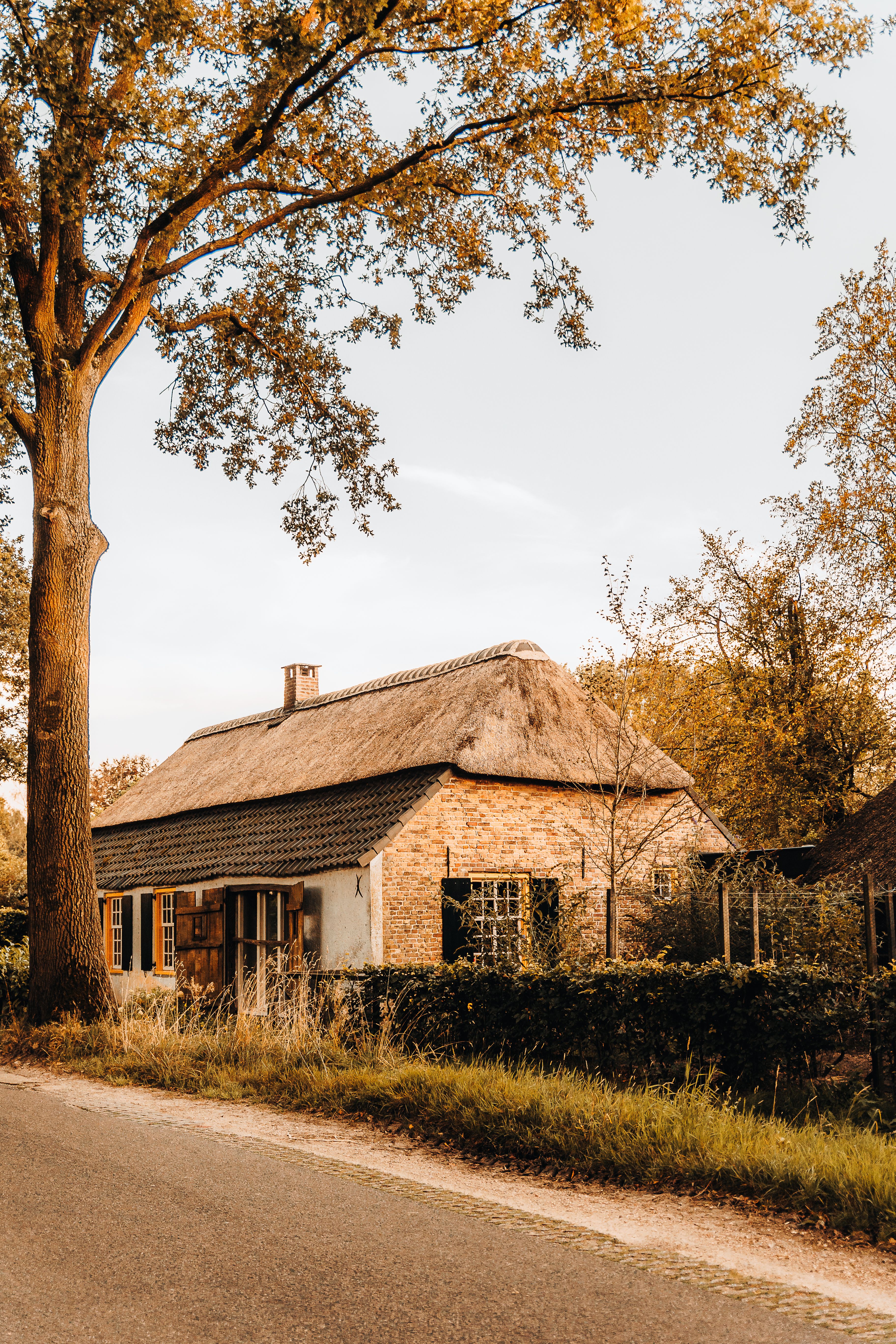 Charming Cottage in Nederland Countryside · Free Stock Photo