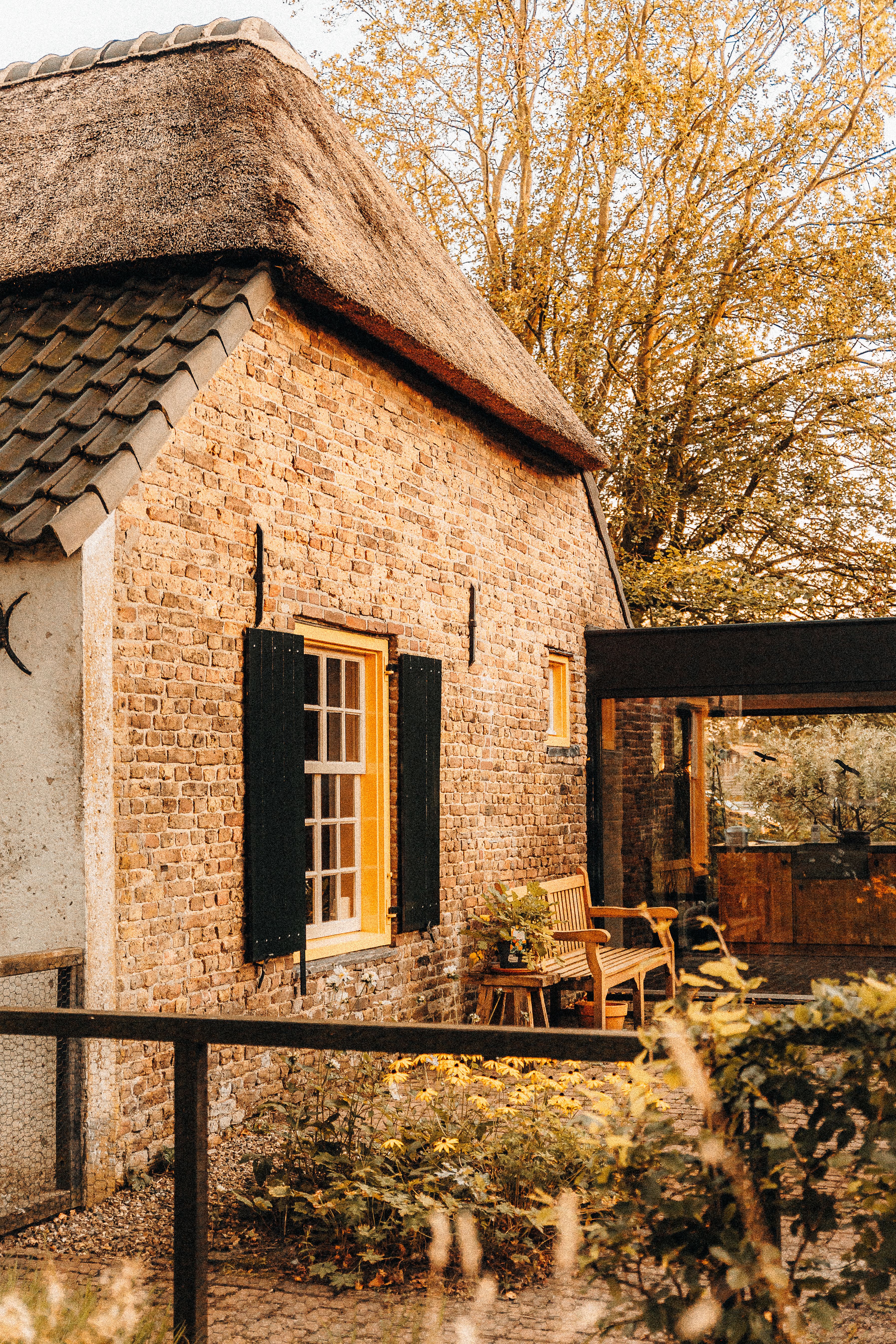 Charming Dutch Cottage in Late Summer Garden · Free Stock Photo