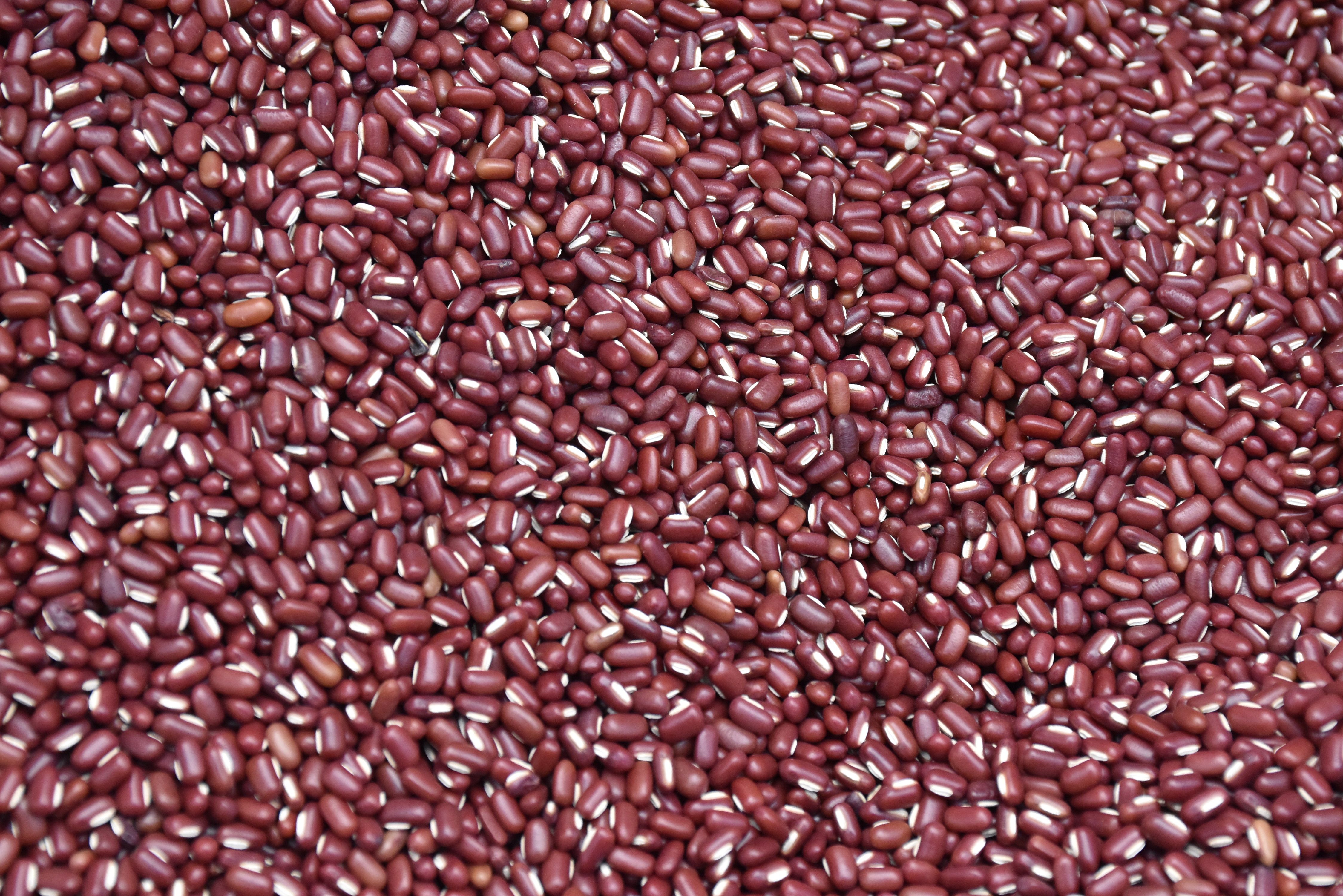 Close-up of Red Kidney Beans Texture Background · Free Stock Photo