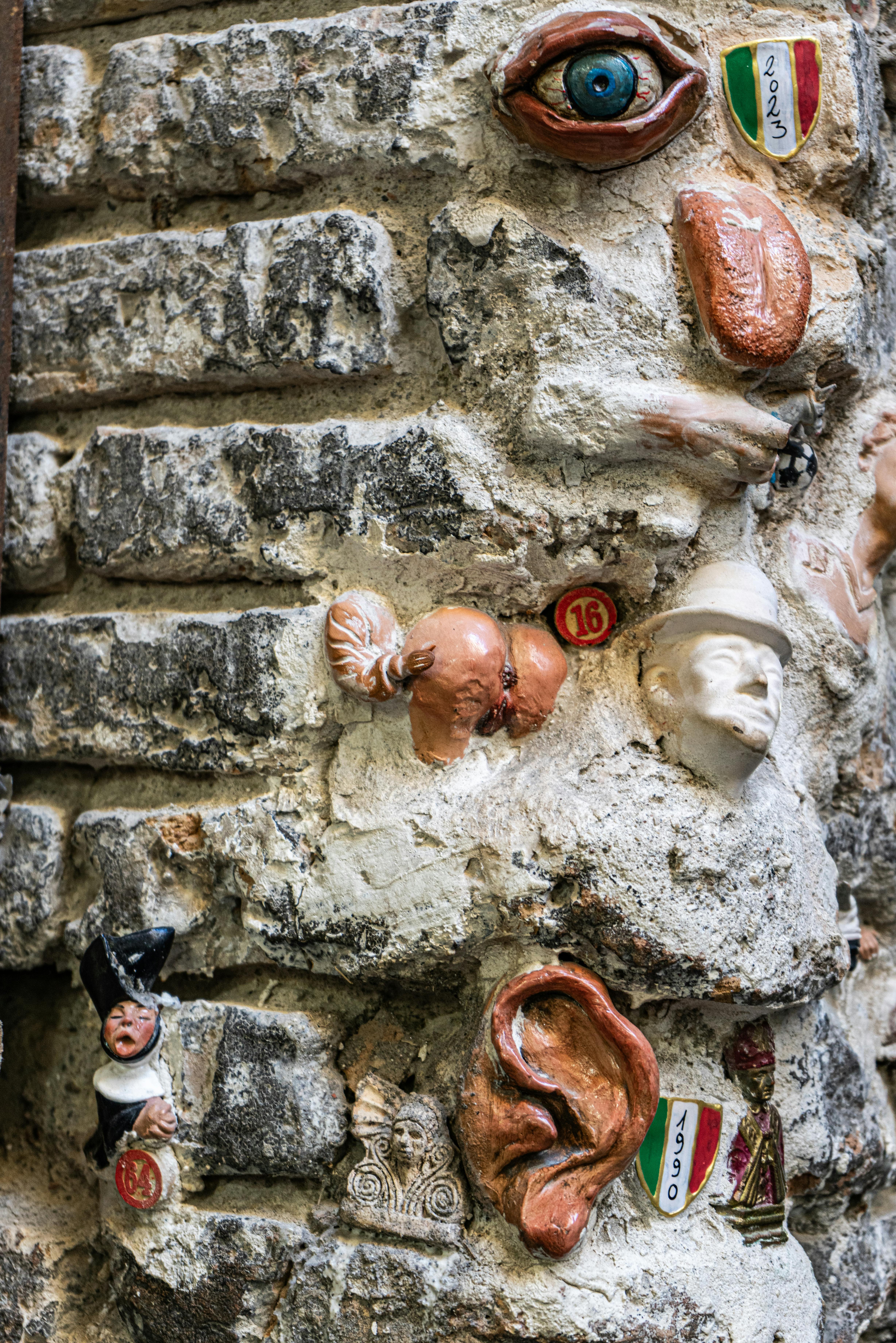 Gage For Ear Photos, Download The BEST Free Gage For Ear Stock Photos ...