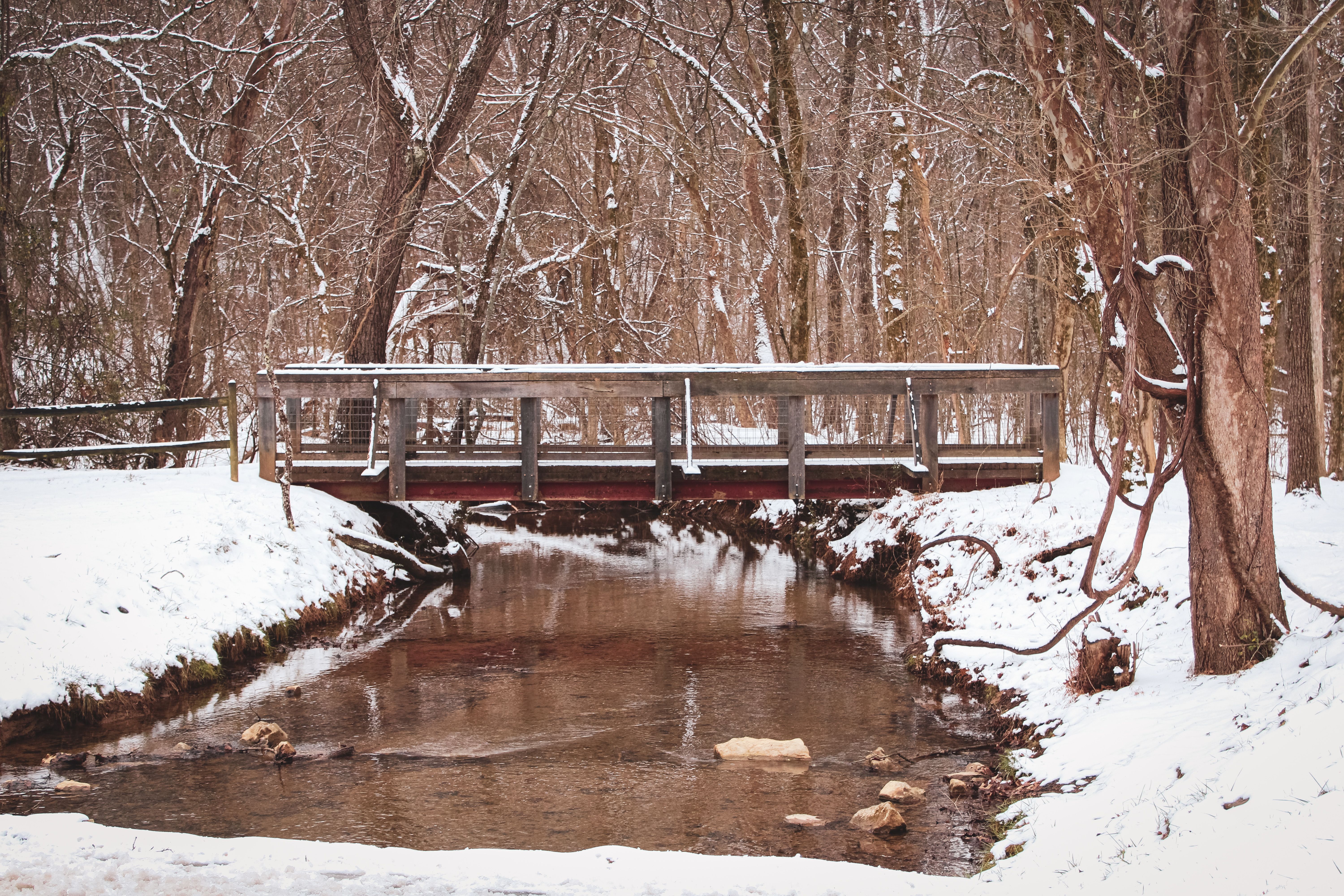 Snowy Woodland Bridge over Winter Creek · Free Stock Photo