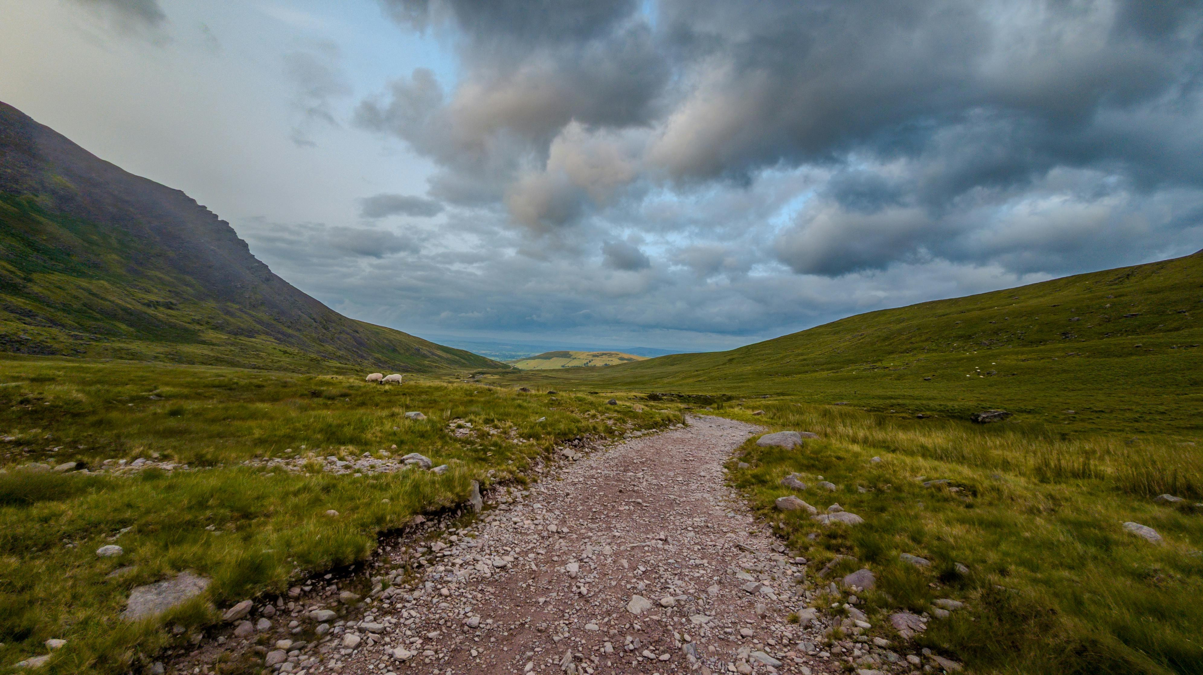Scenic Irish Landscape with Rocky Pathway · Free Stock Photo