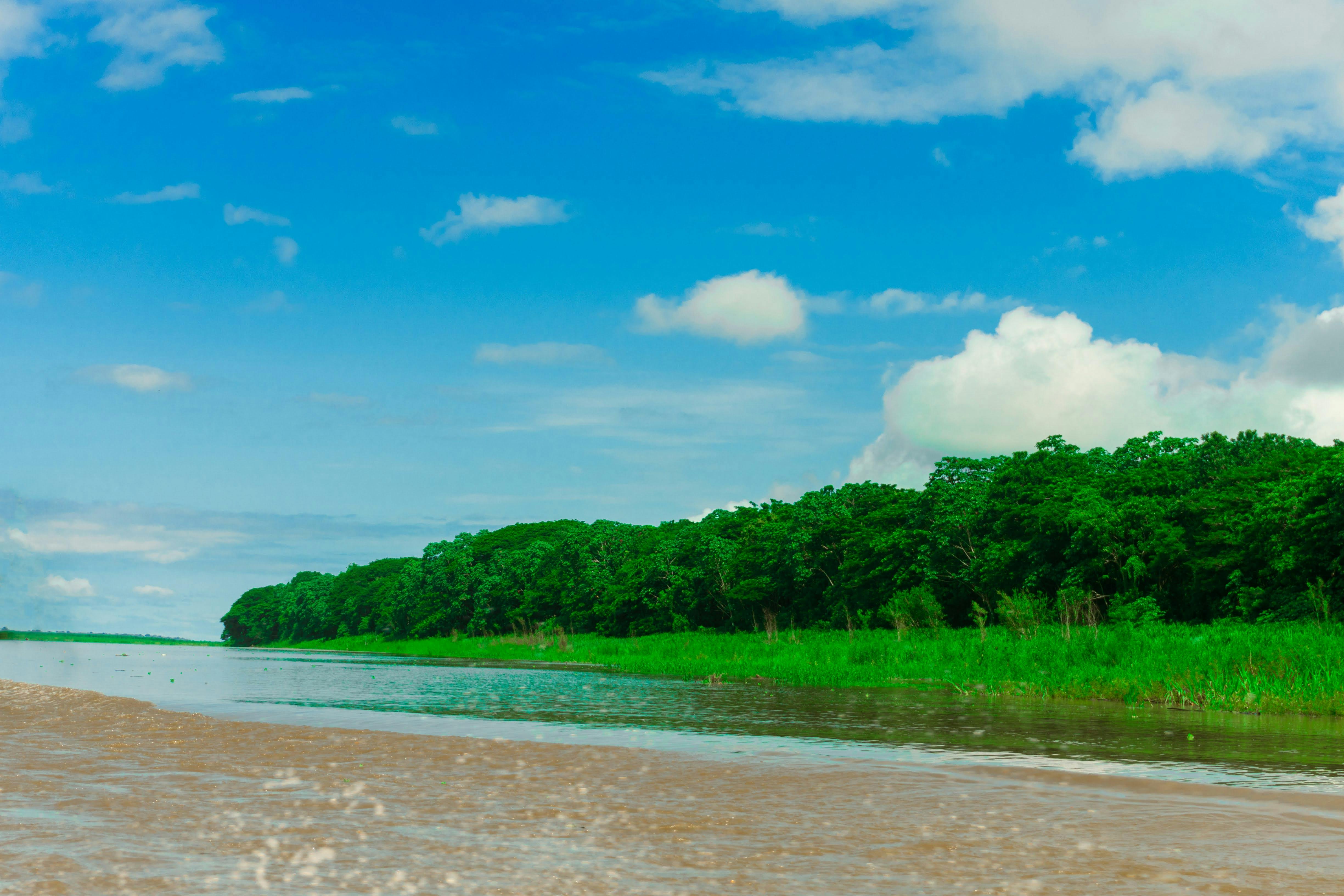 Serene Amazon River View in Loreto, Peru · Free Stock Photo