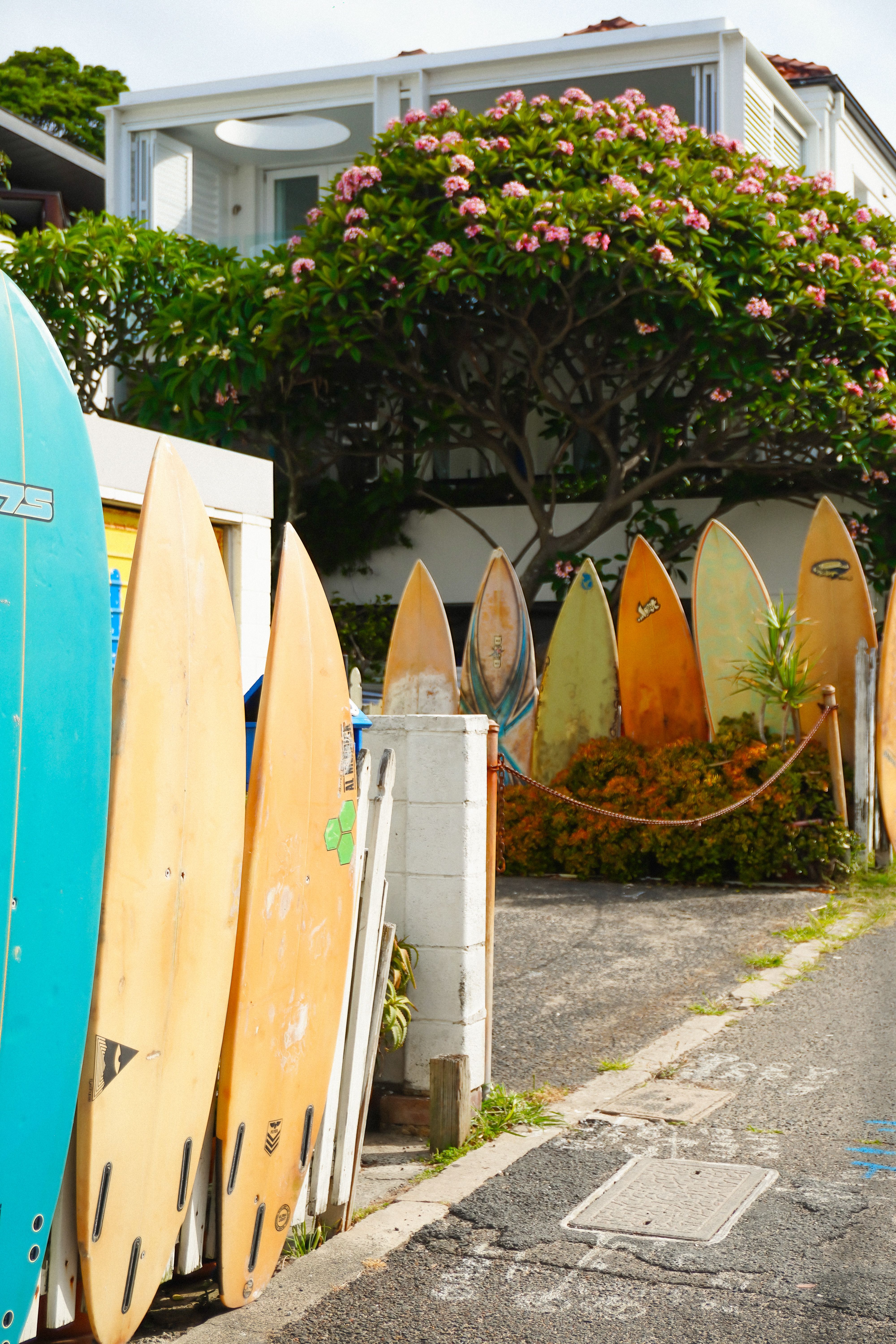 Colorful Surfboards Lined Up by Beach House · Free Stock Photo