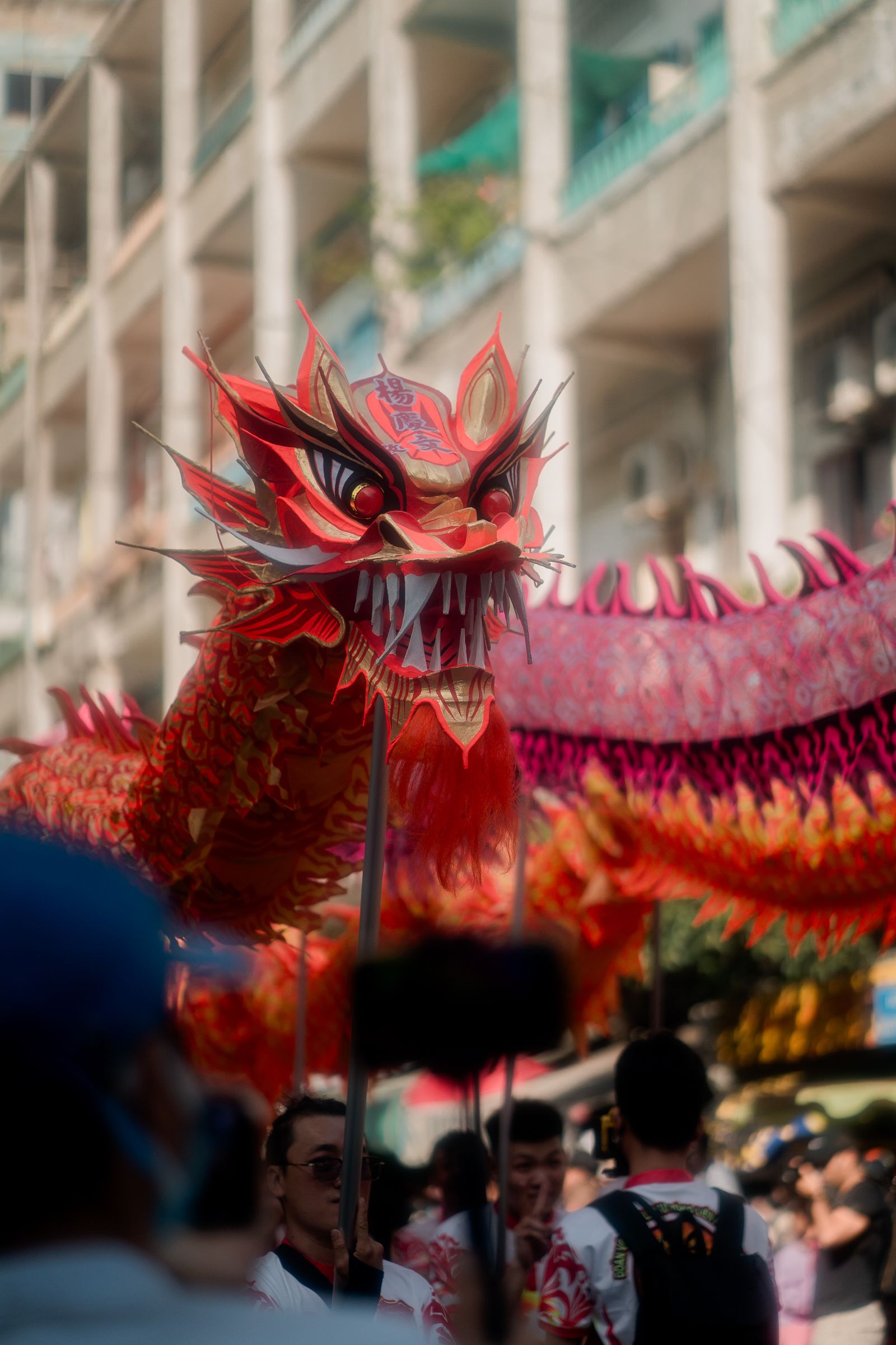 Dragon Puppets Photos, Download The BEST Free Dragon Puppets Stock ...