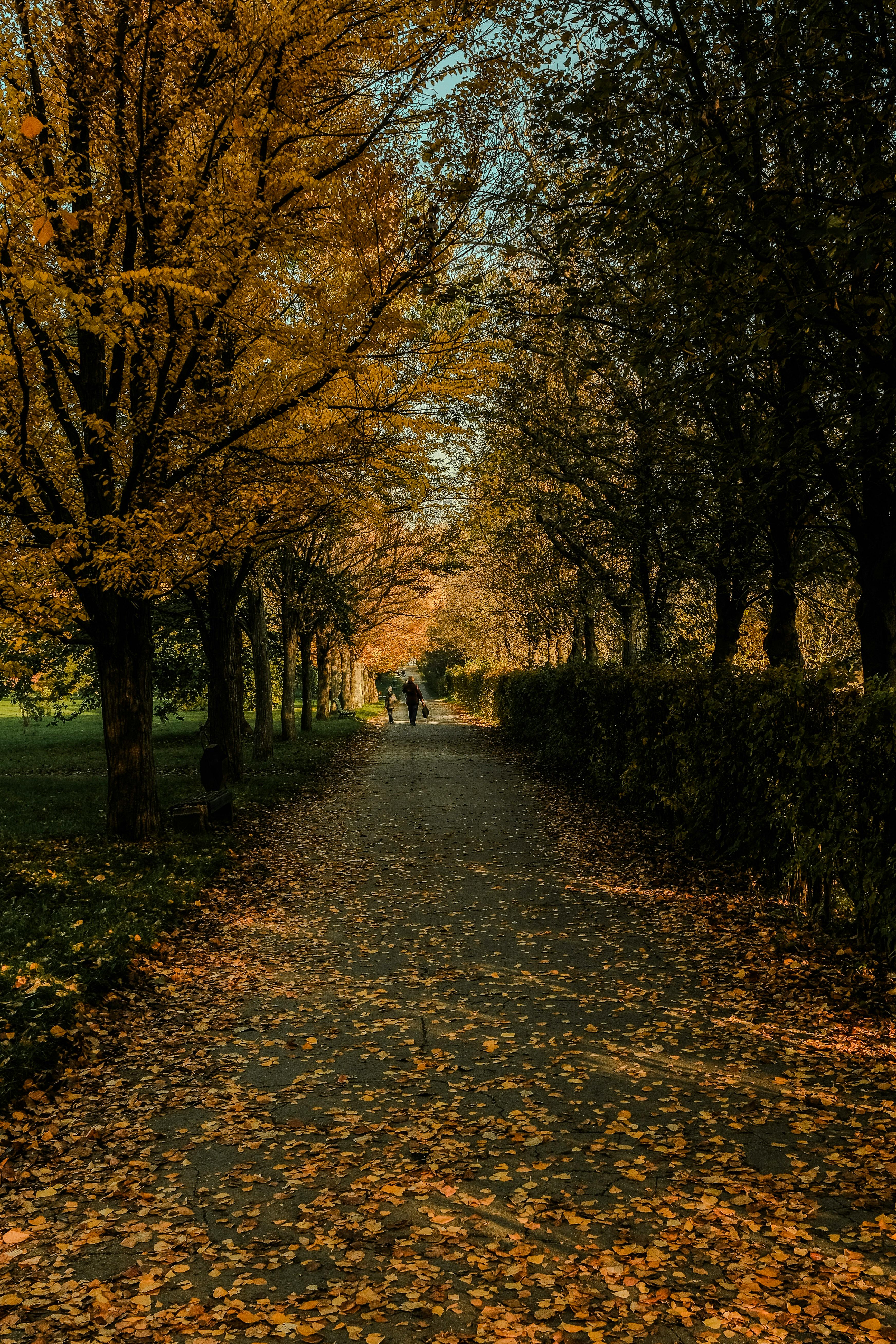 Tidal Ditenun Photos, Download The BEST Free Tidal Ditenun Stock Photos ...