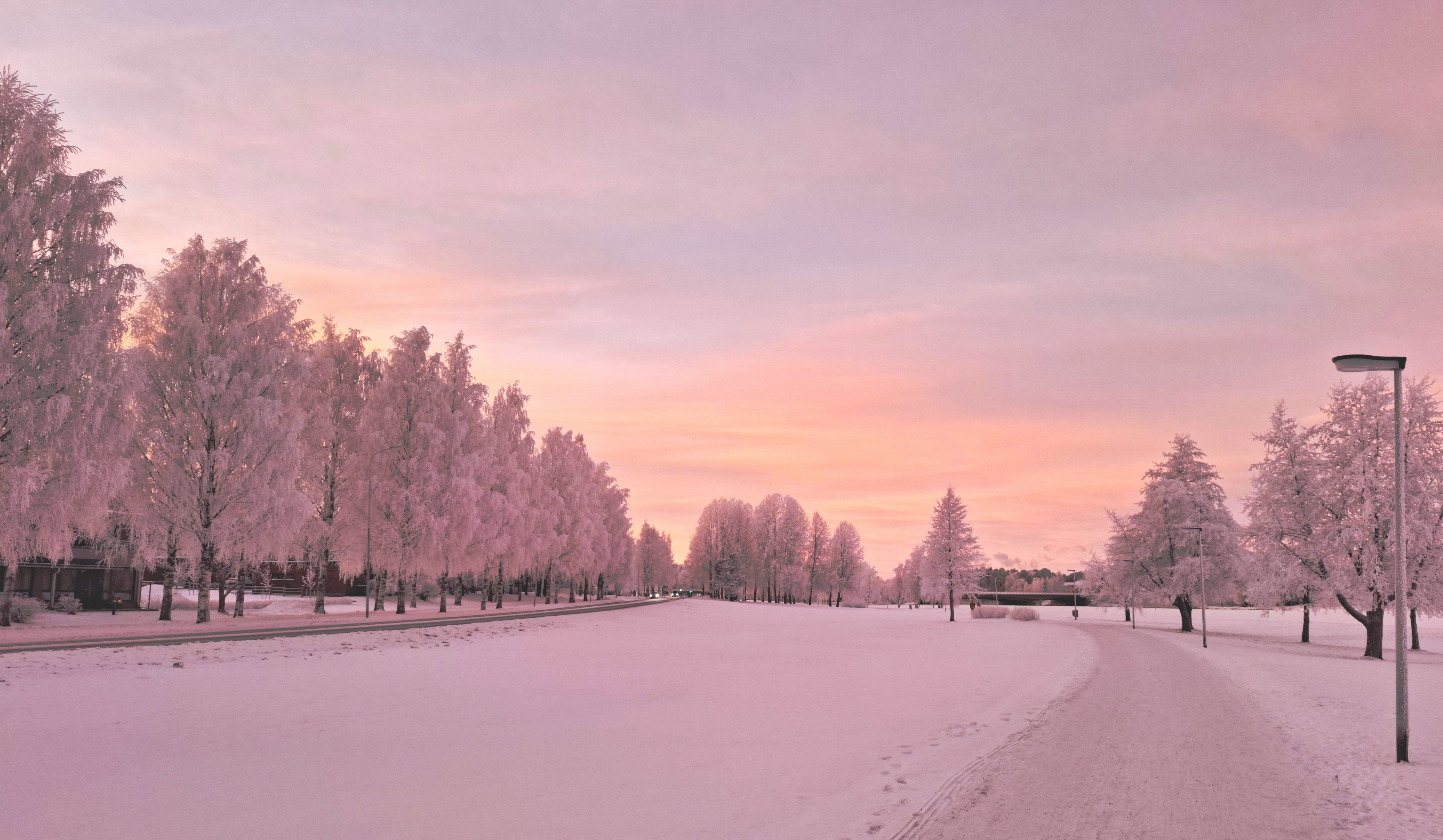 Serene Winter Sunset in Oulu, Finland · Free Stock Photo