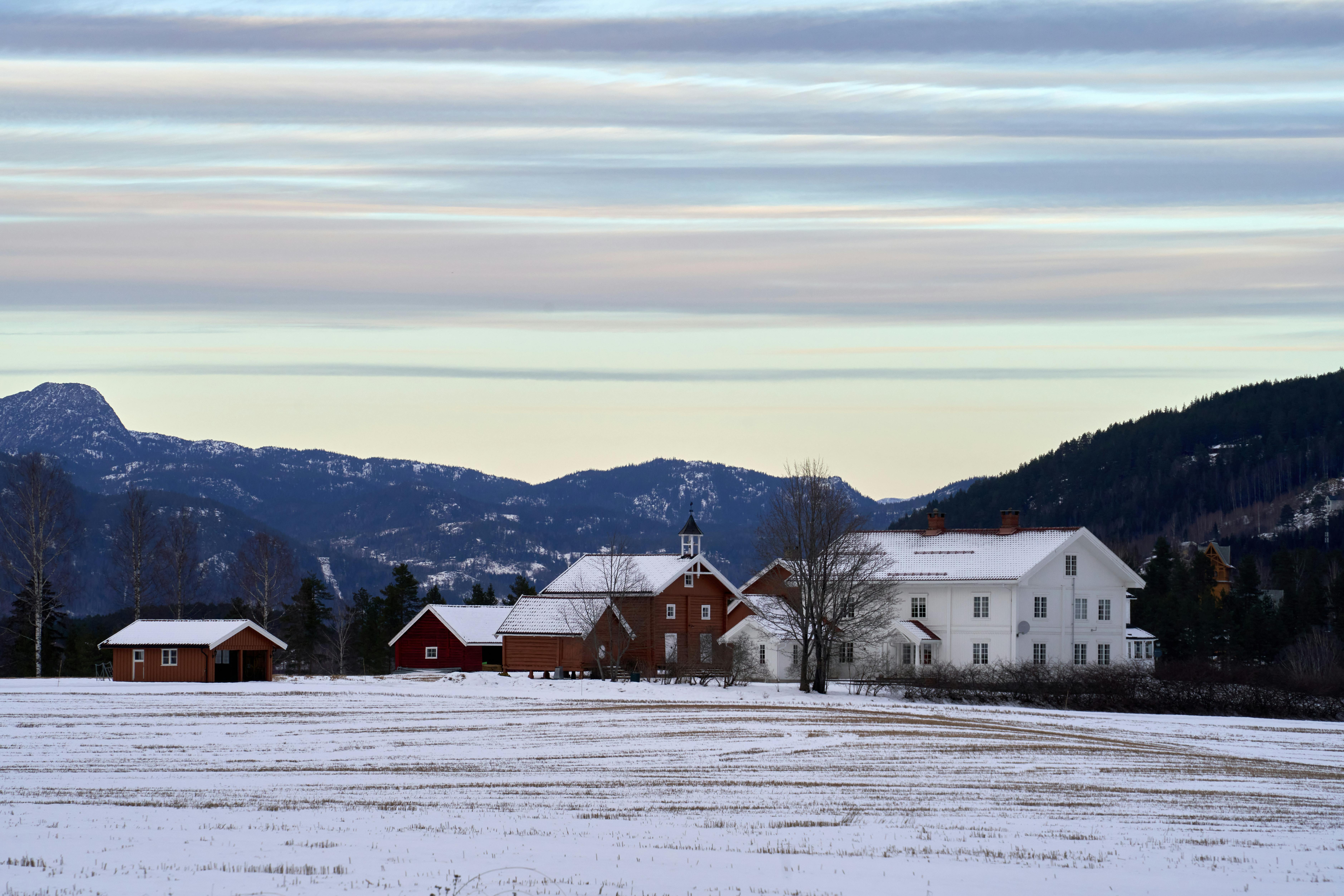 Norwegian Color Photos, Download The BEST Free Norwegian Color Stock ...