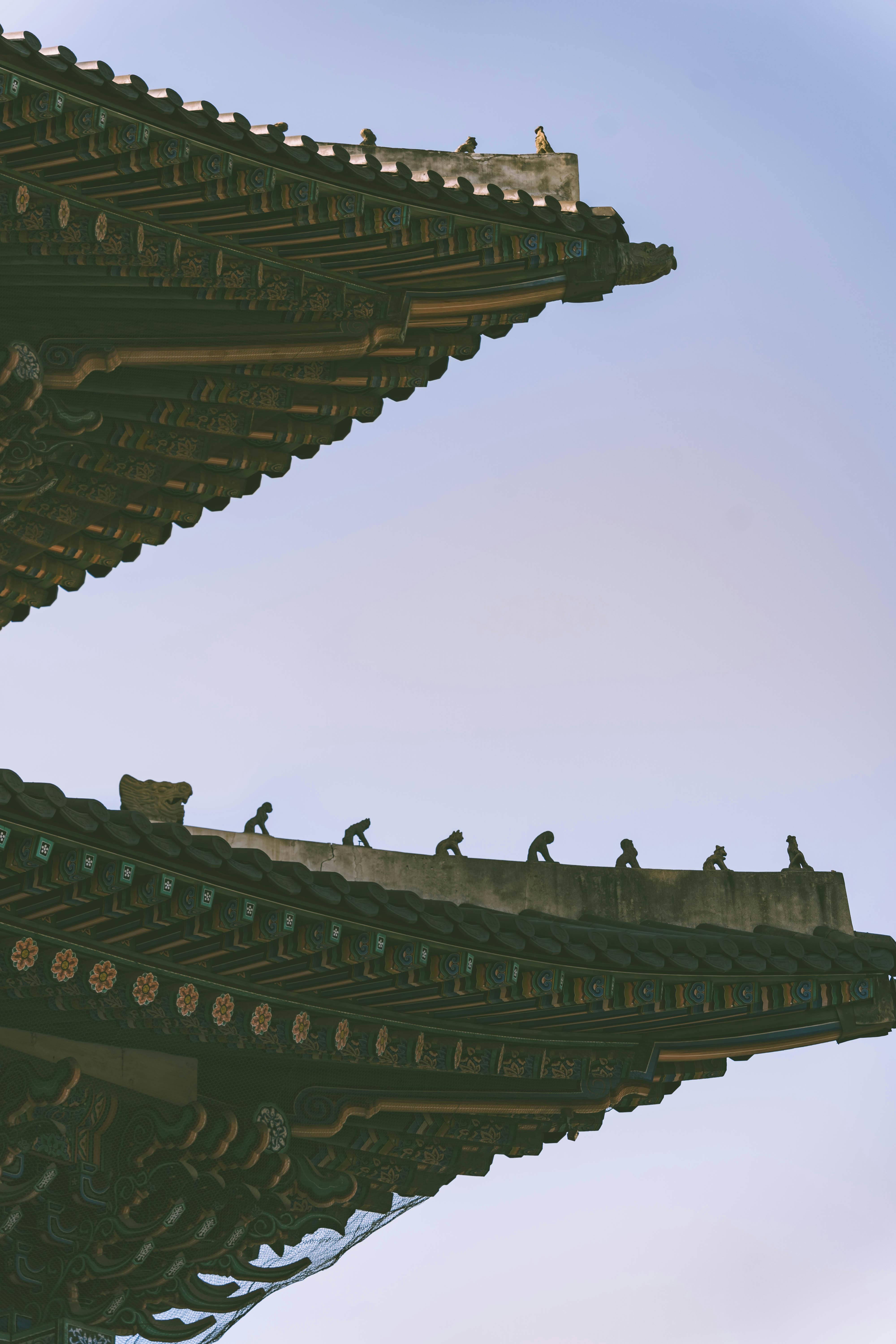 Castle Rooftop Photos, Download The BEST Free Castle Rooftop Stock ...