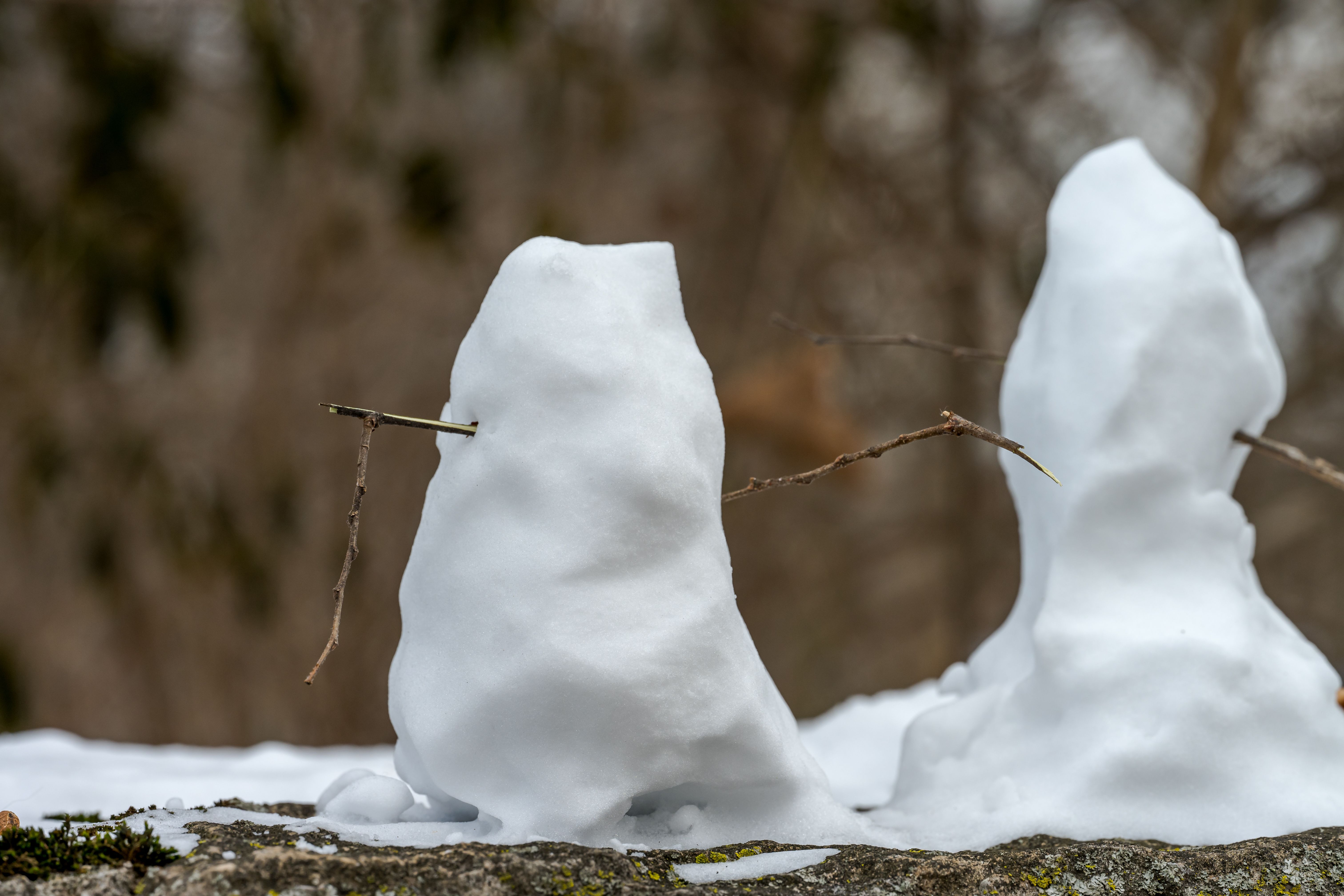 Whimsical Snow Figures in Winter Forest · Free Stock Photo