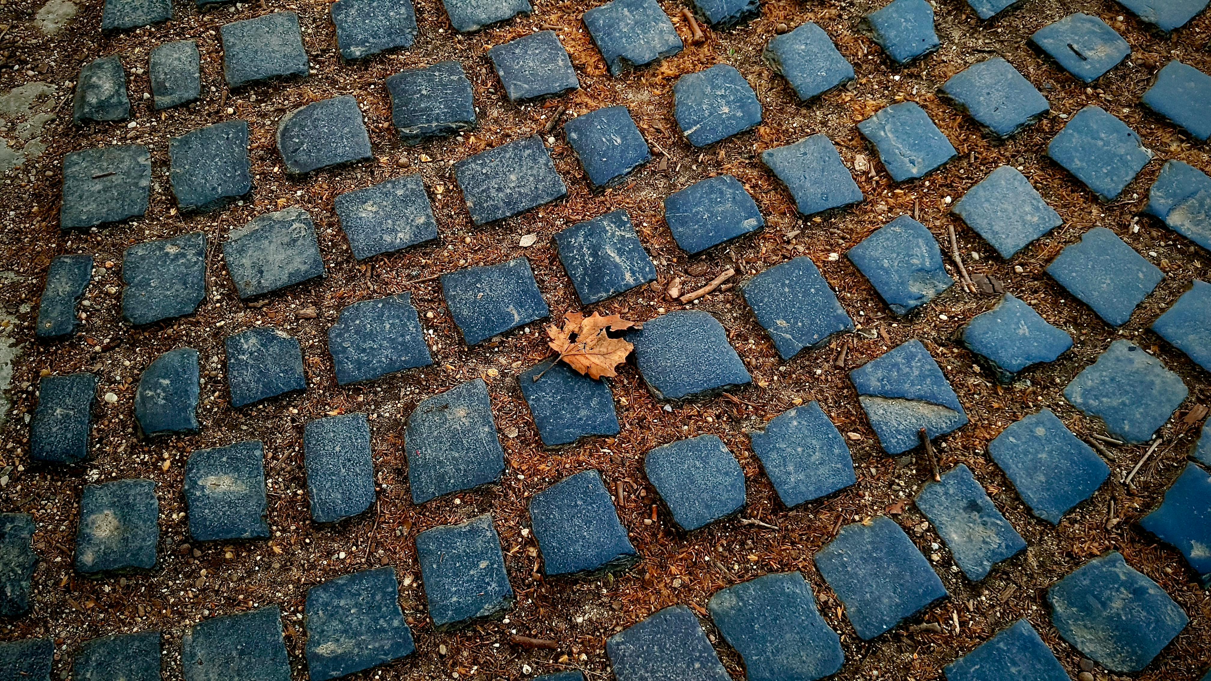 Rustic Cobblestone Pathway with Autumn Leaf · Free Stock Photo