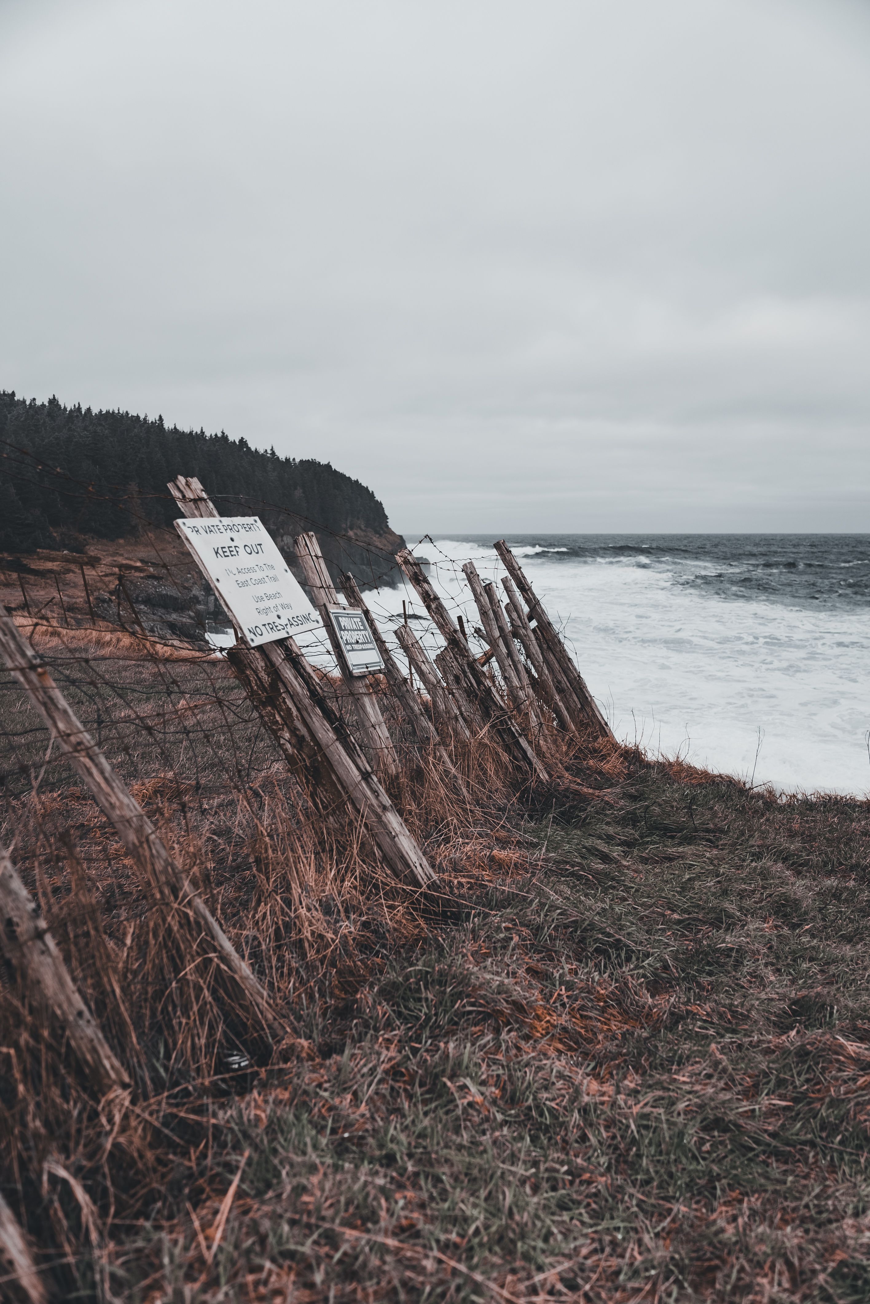Rustic Coastal Fence and Ocean Waves in Overcast Weather · Free Stock Photo