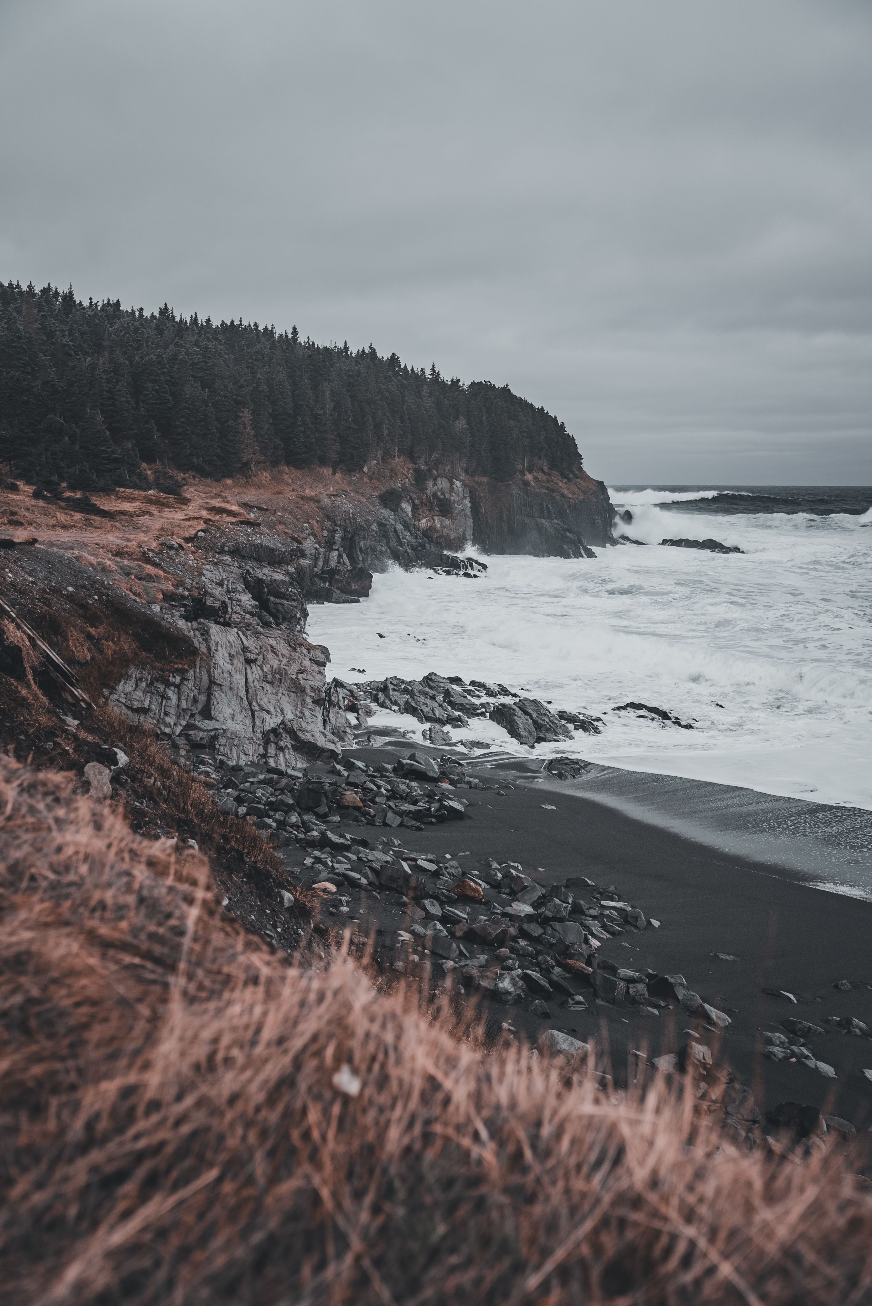 Dramatic Rocky Coastline in Overcast Weather · Free Stock Photo