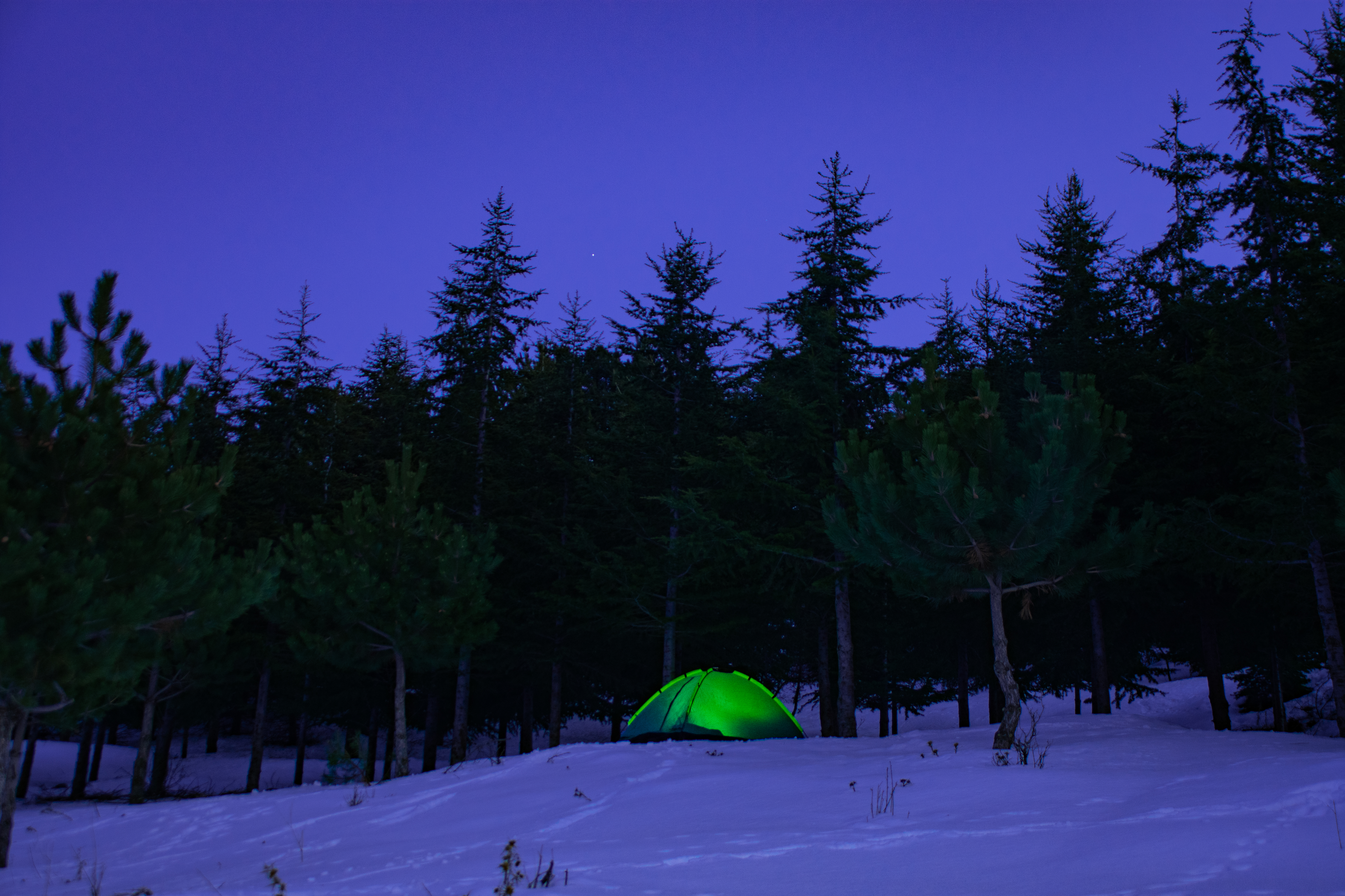 Winter Camping in the Snowy Forest at Twilight · Free Stock Photo
