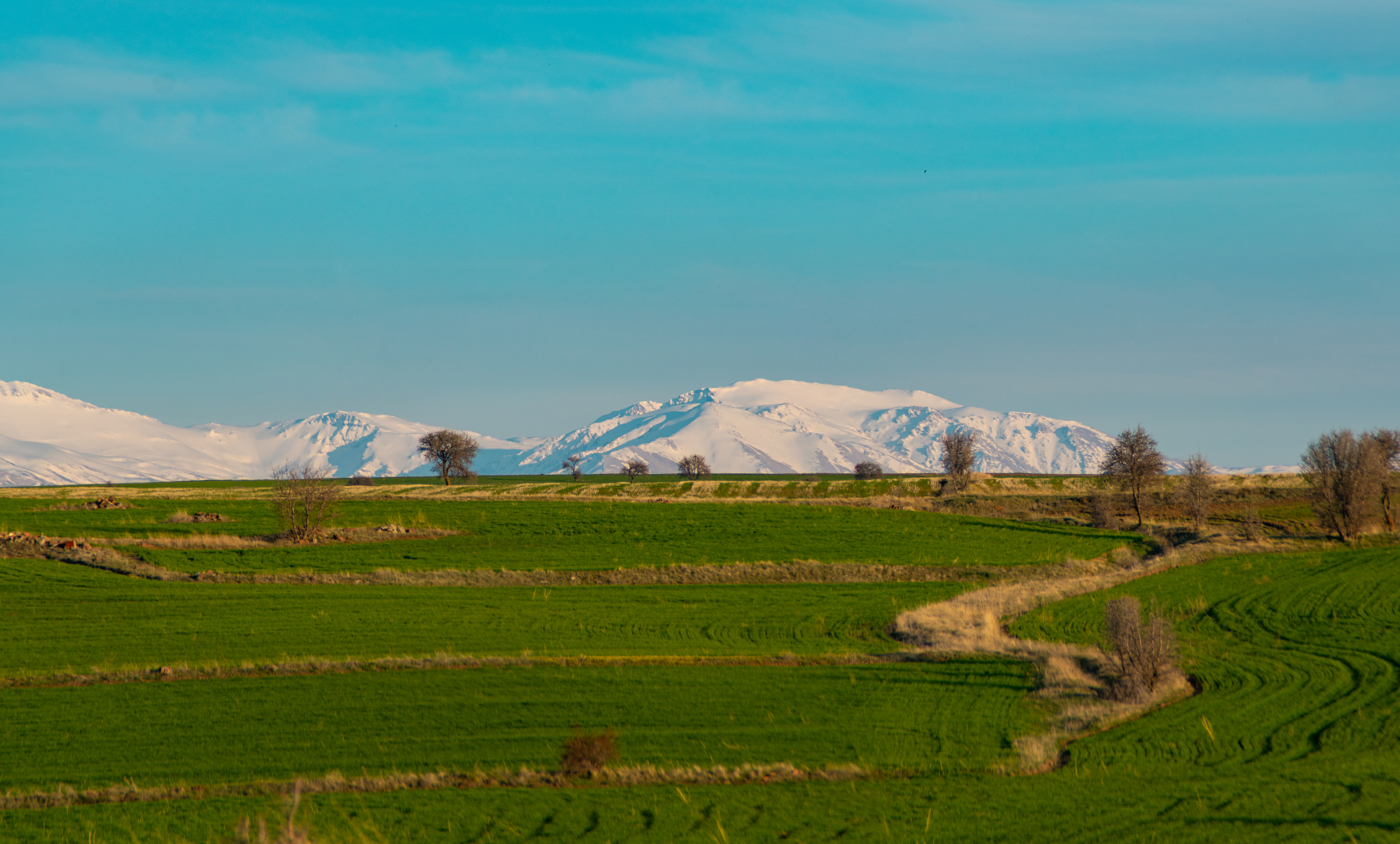 Pristine Ecosystem Photos, Download The BEST Free Pristine Ecosystem ...