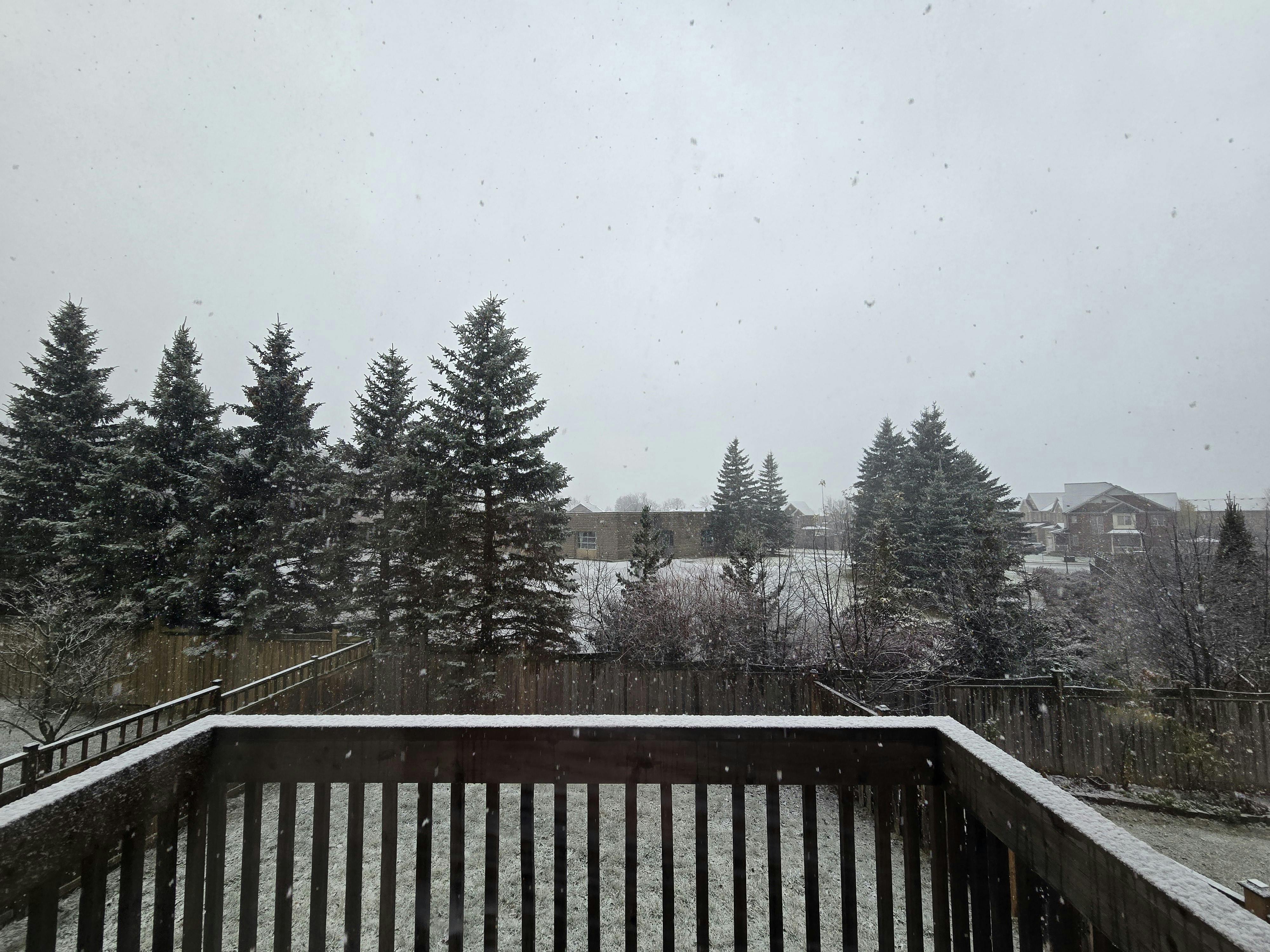 Snowfall in a Backyard with Pine Trees · Free Stock Photo