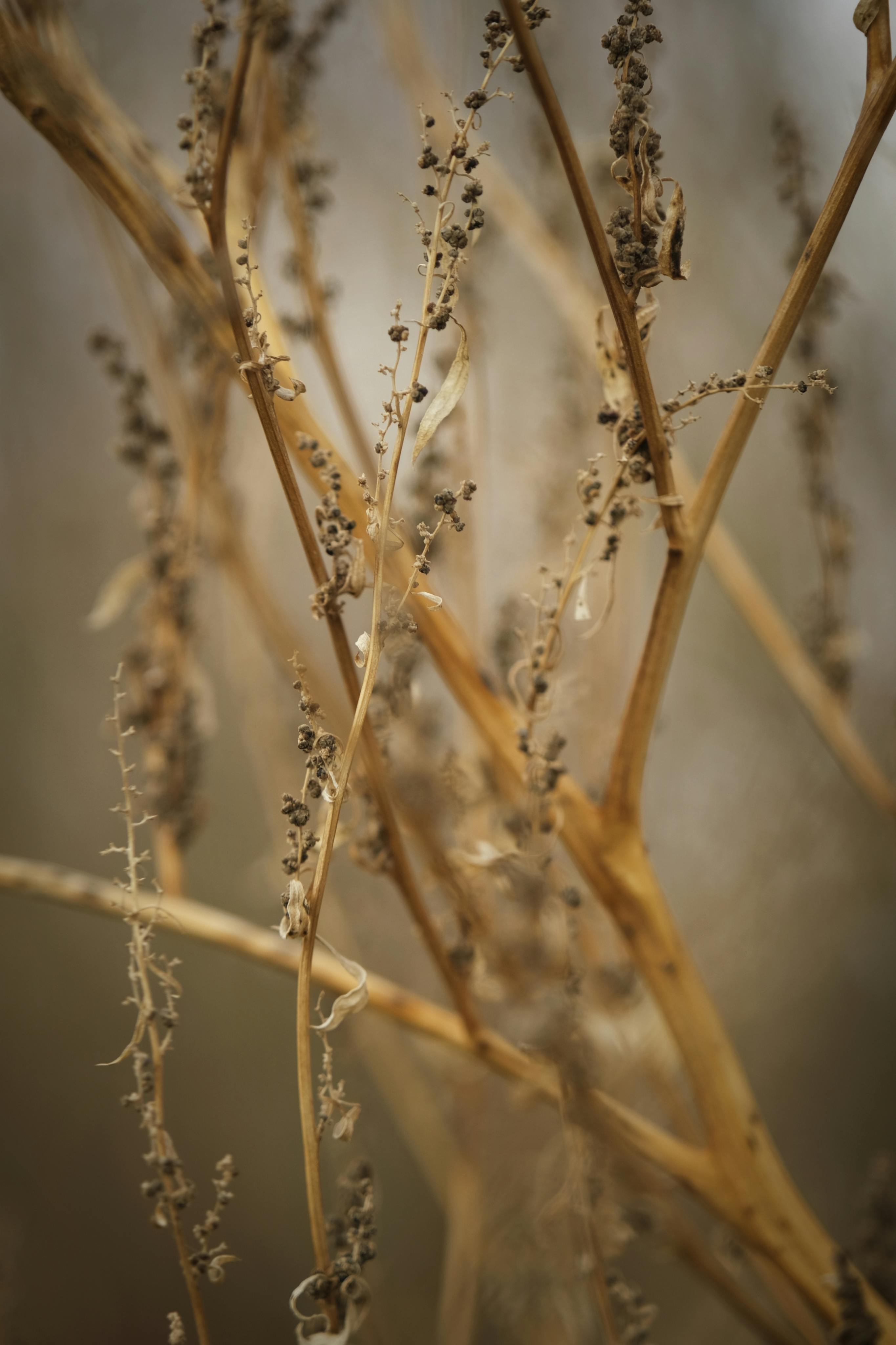 Vape Pods Photos, Download The BEST Free Vape Pods Stock Photos & HD Images