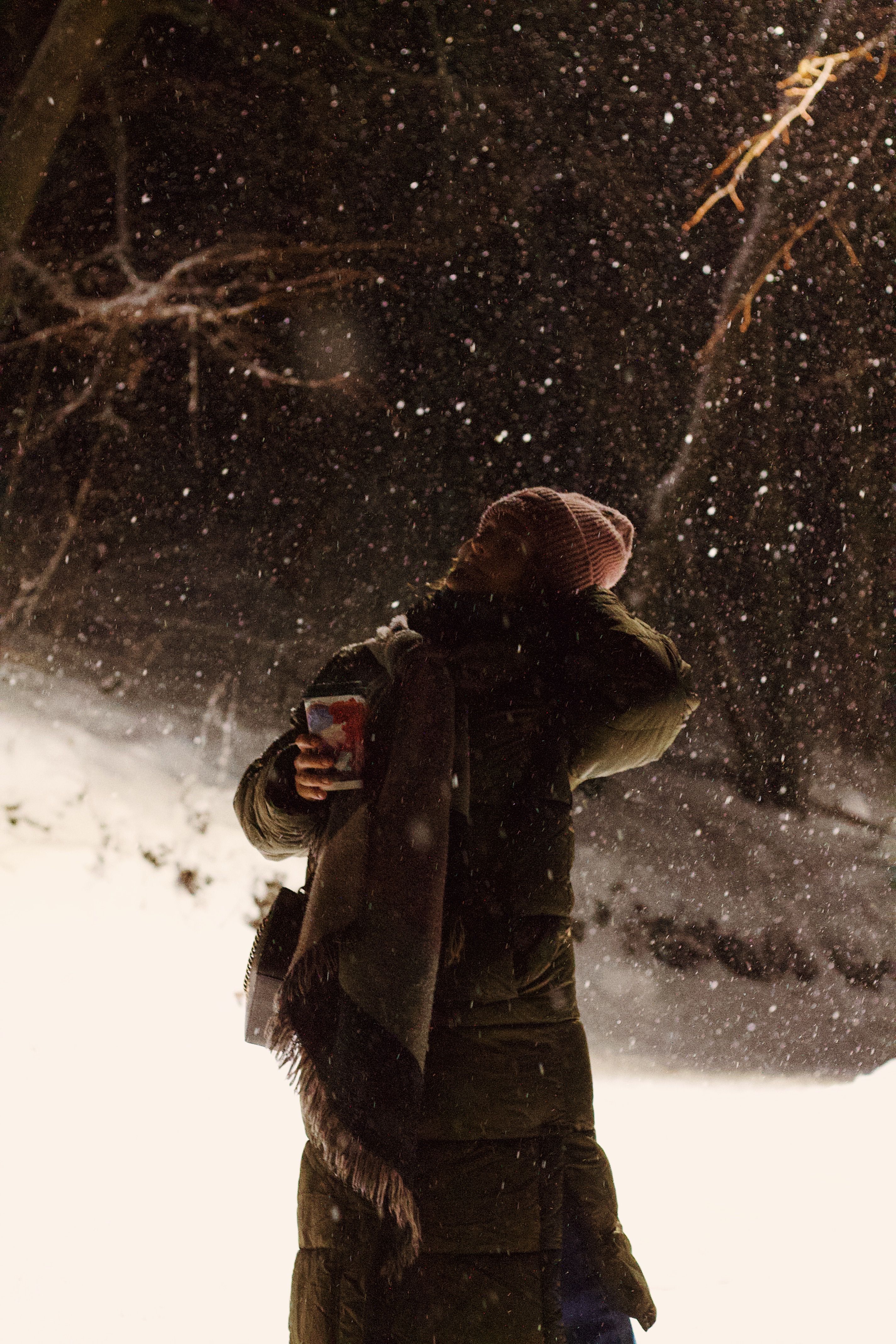Person Enjoying Snowfall in Winter Evening · Free Stock Photo