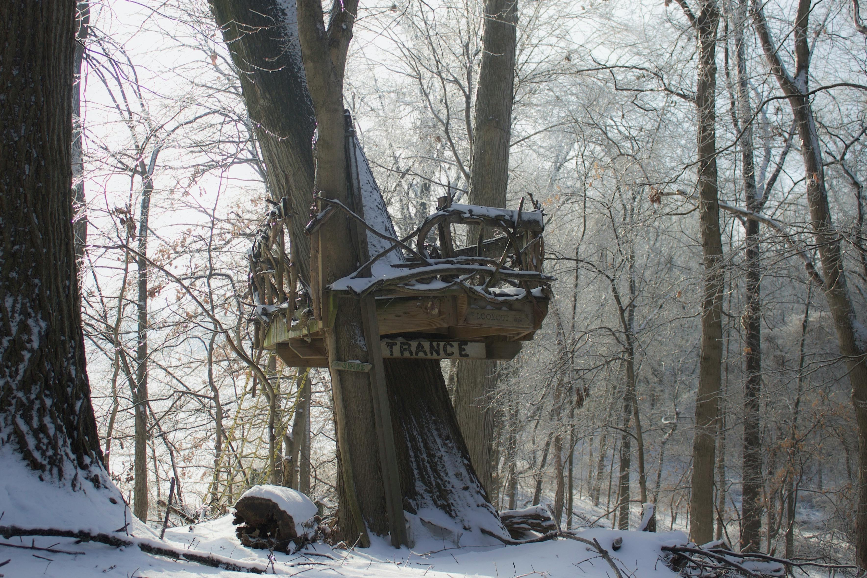 Snow-Covered Treehouse in Winter Forest · Free Stock Photo