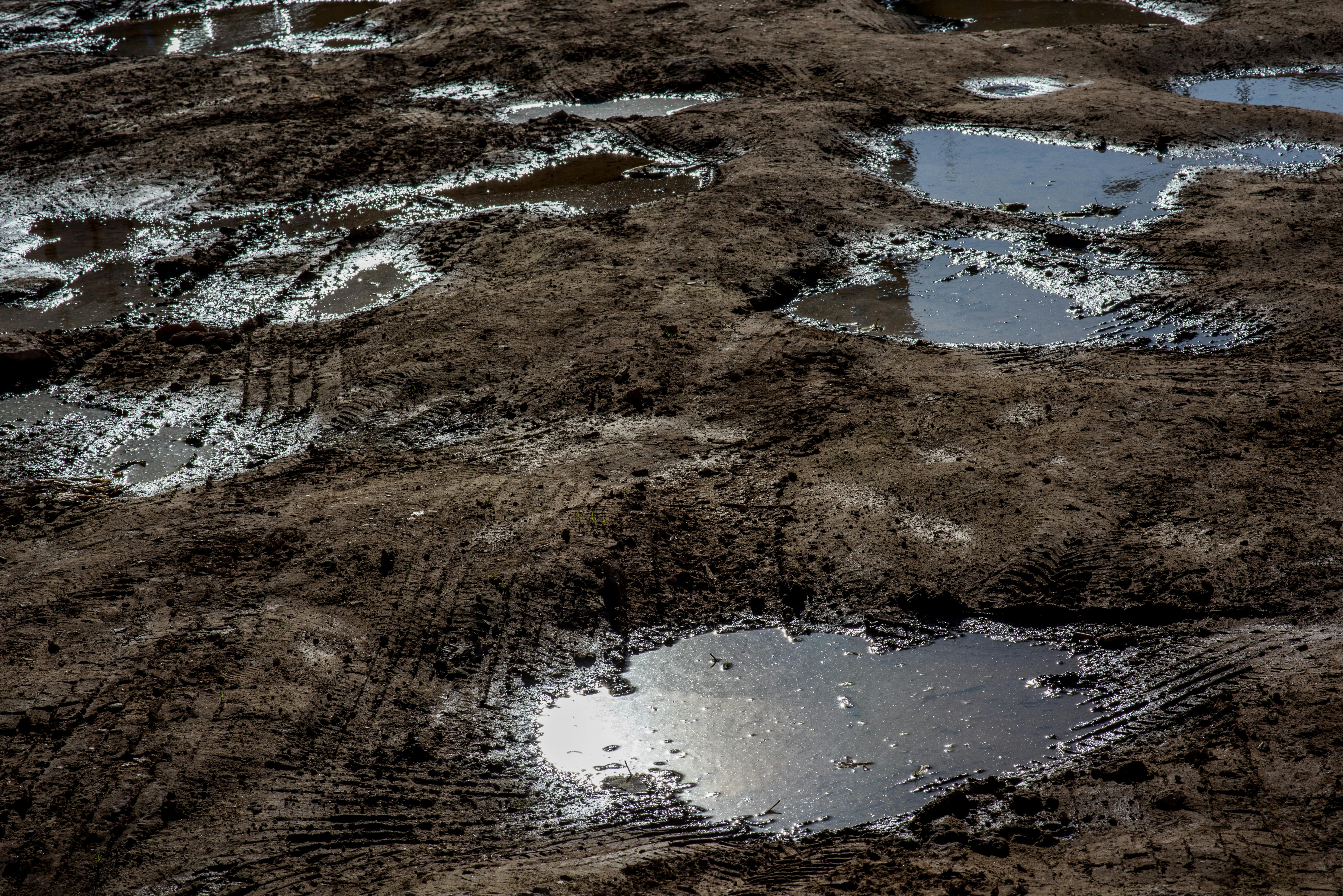Muddy Landscape with Reflective Water Puddles · Free Stock Photo