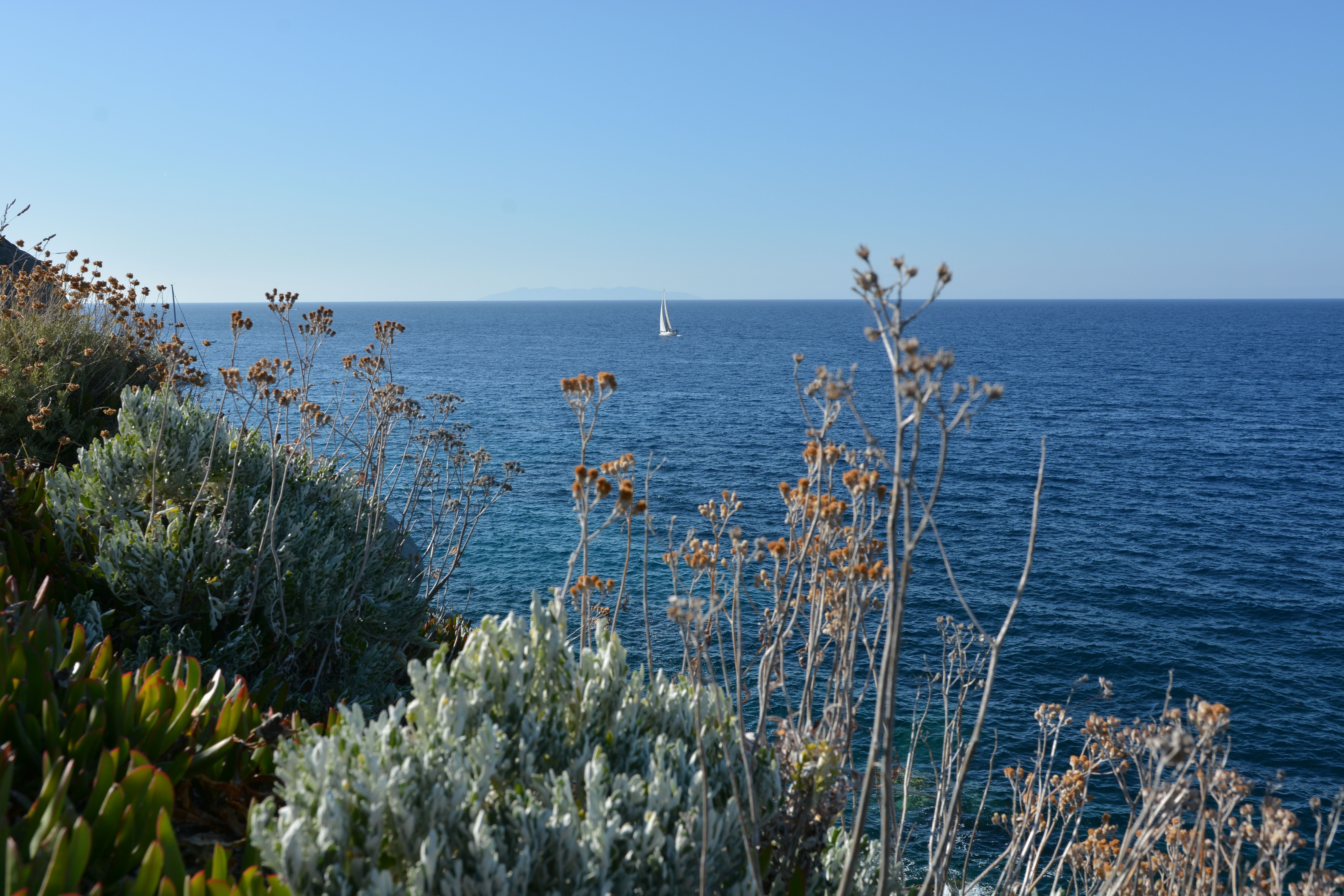 Serene Coastal View with Distant Sailboat · Free Stock Photo
