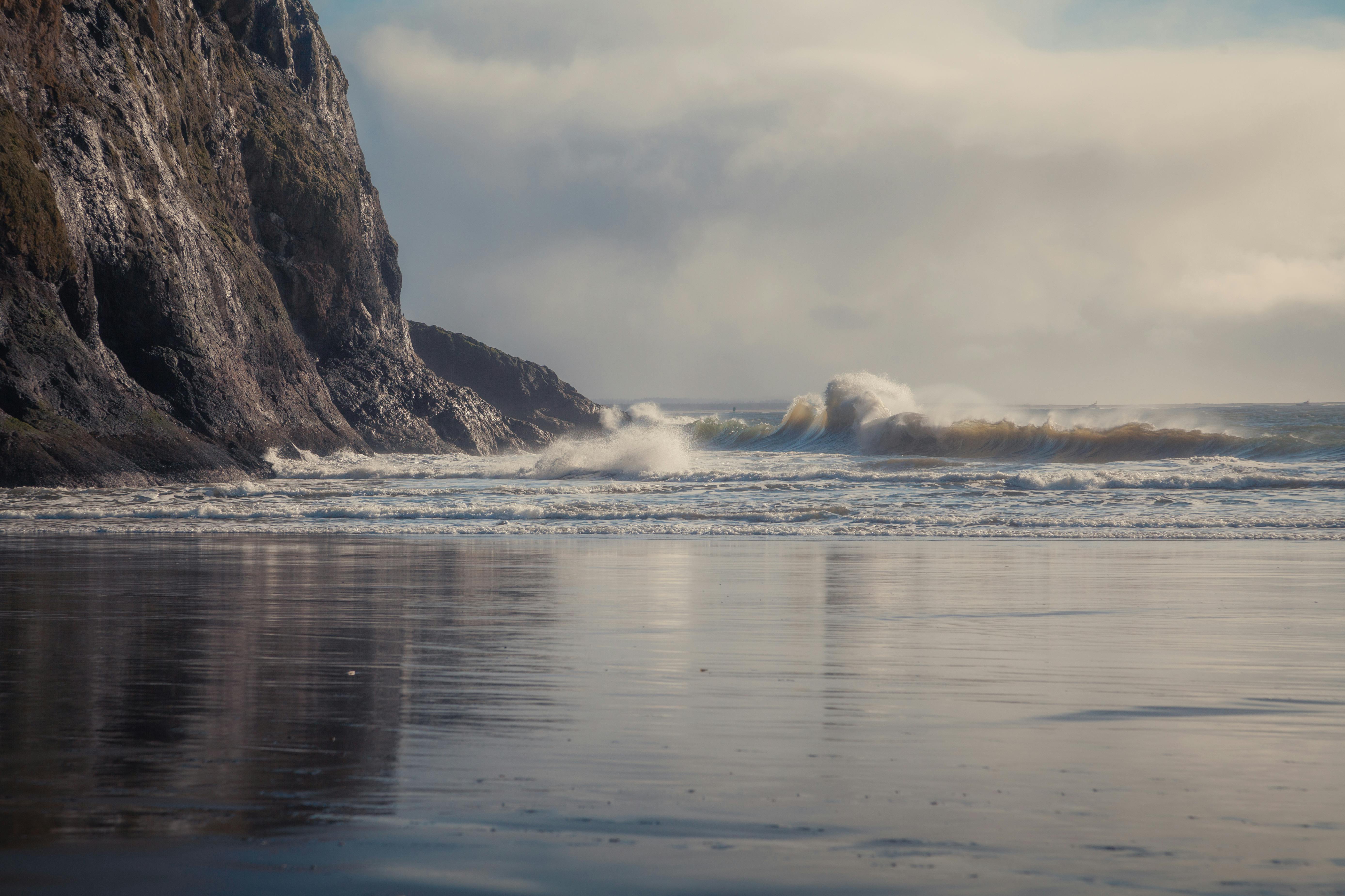 Dramatic Waves Hitting Cliffs on a Misty Coast · Free Stock Photo