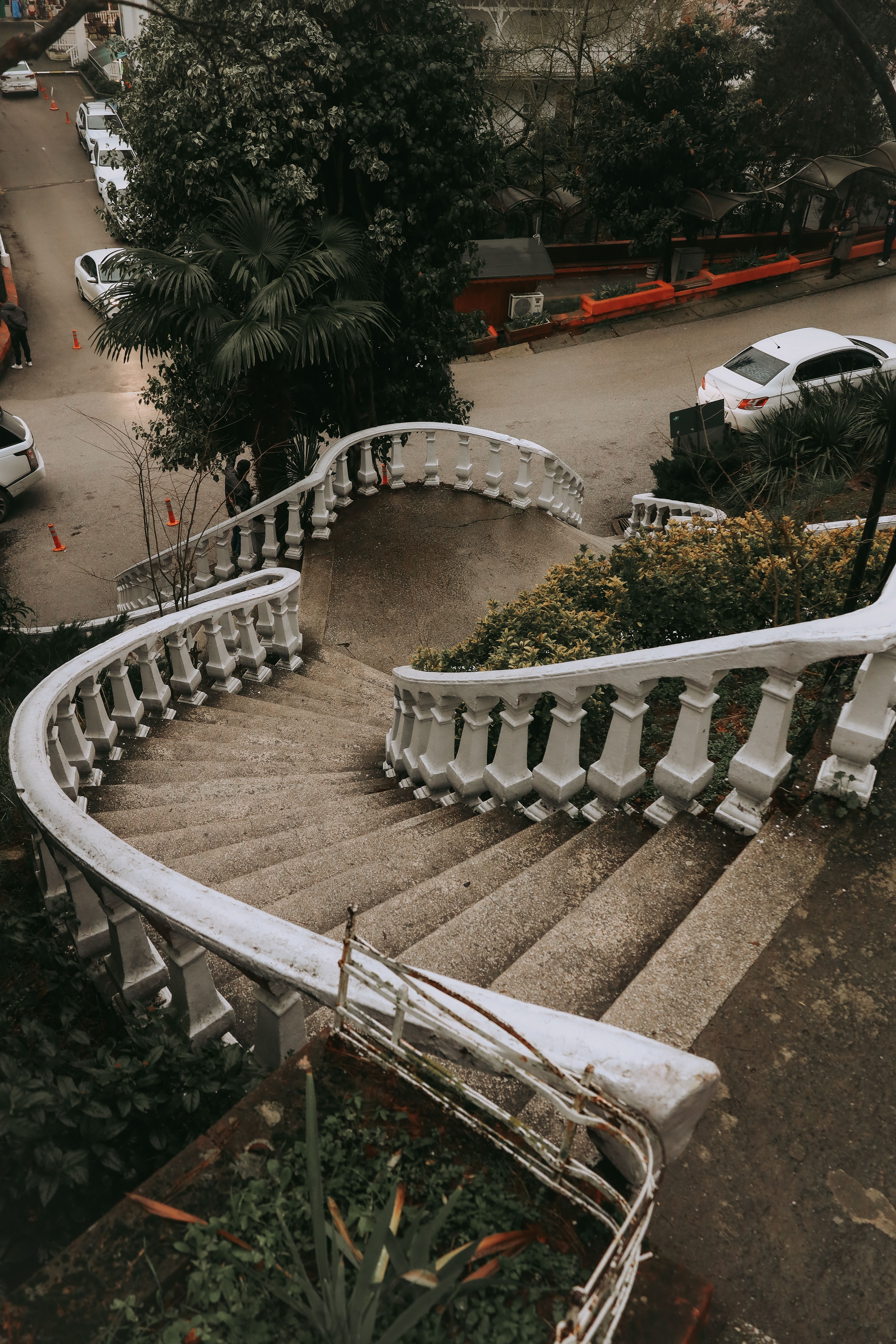 Elegant Curved Outdoor Staircase with Greenery · Free Stock Photo