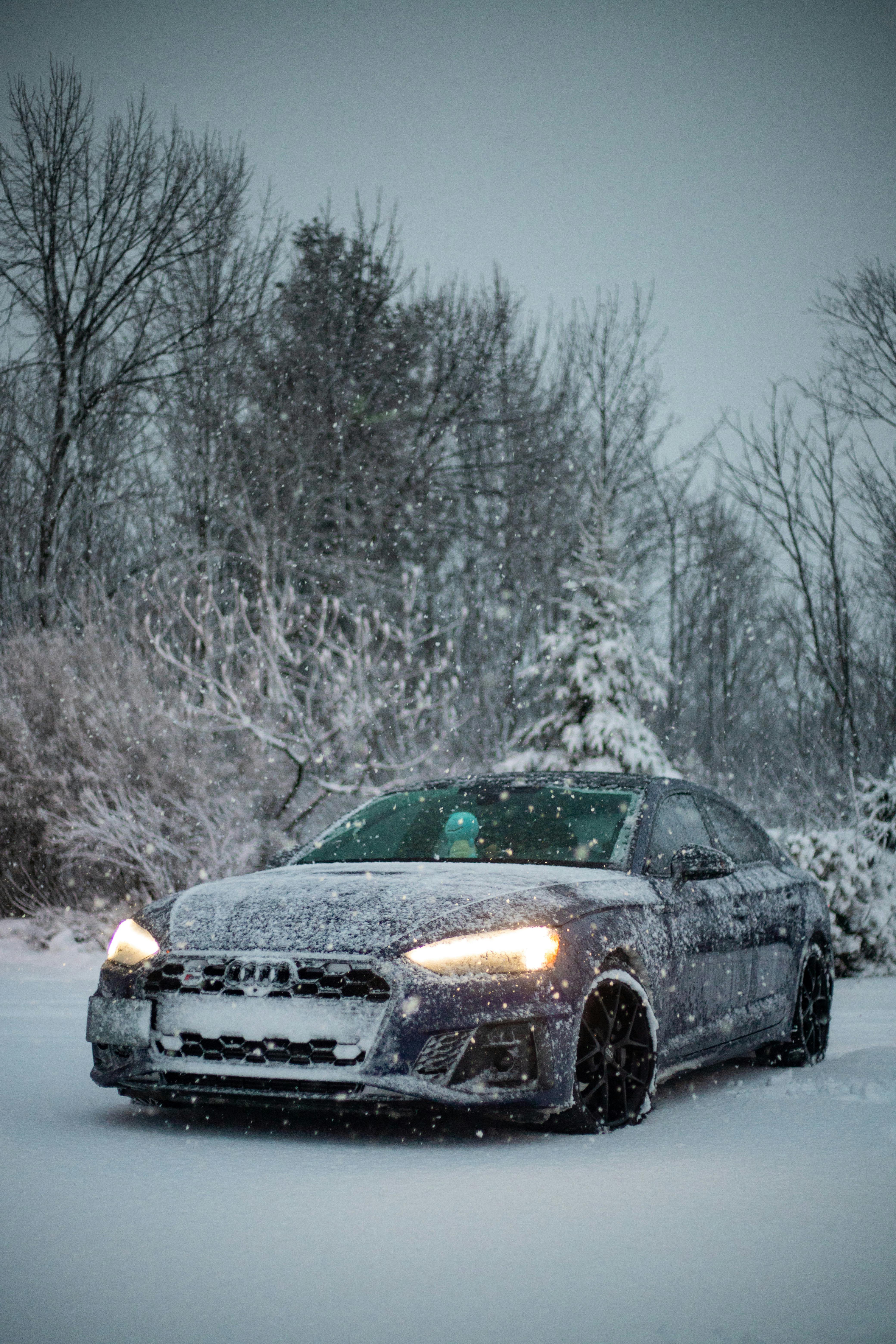 Sleek Car Navigating Through Snowy Winter Forest · Free Stock Photo