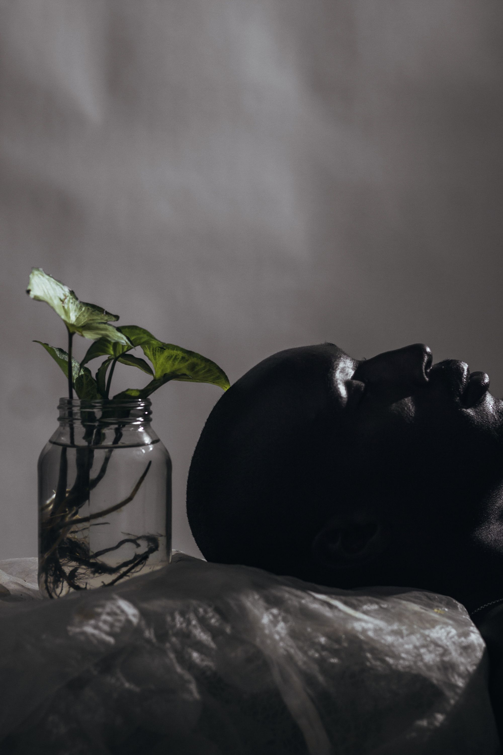 Artistic Portrait with Indoor Plant Still Life · Free Stock Photo