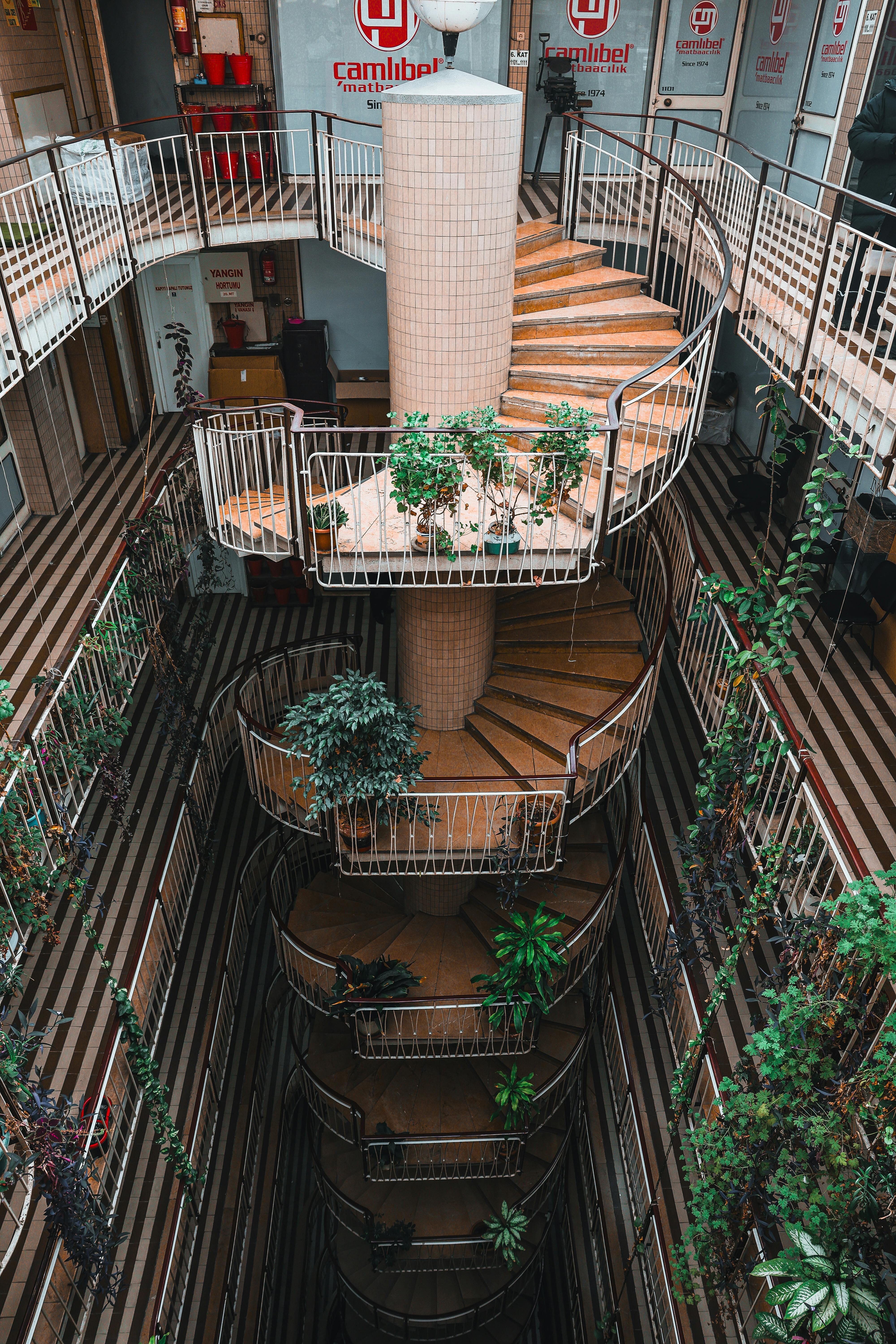 Spiral Staircase in Indoor Atrium with Plants · Free Stock Photo