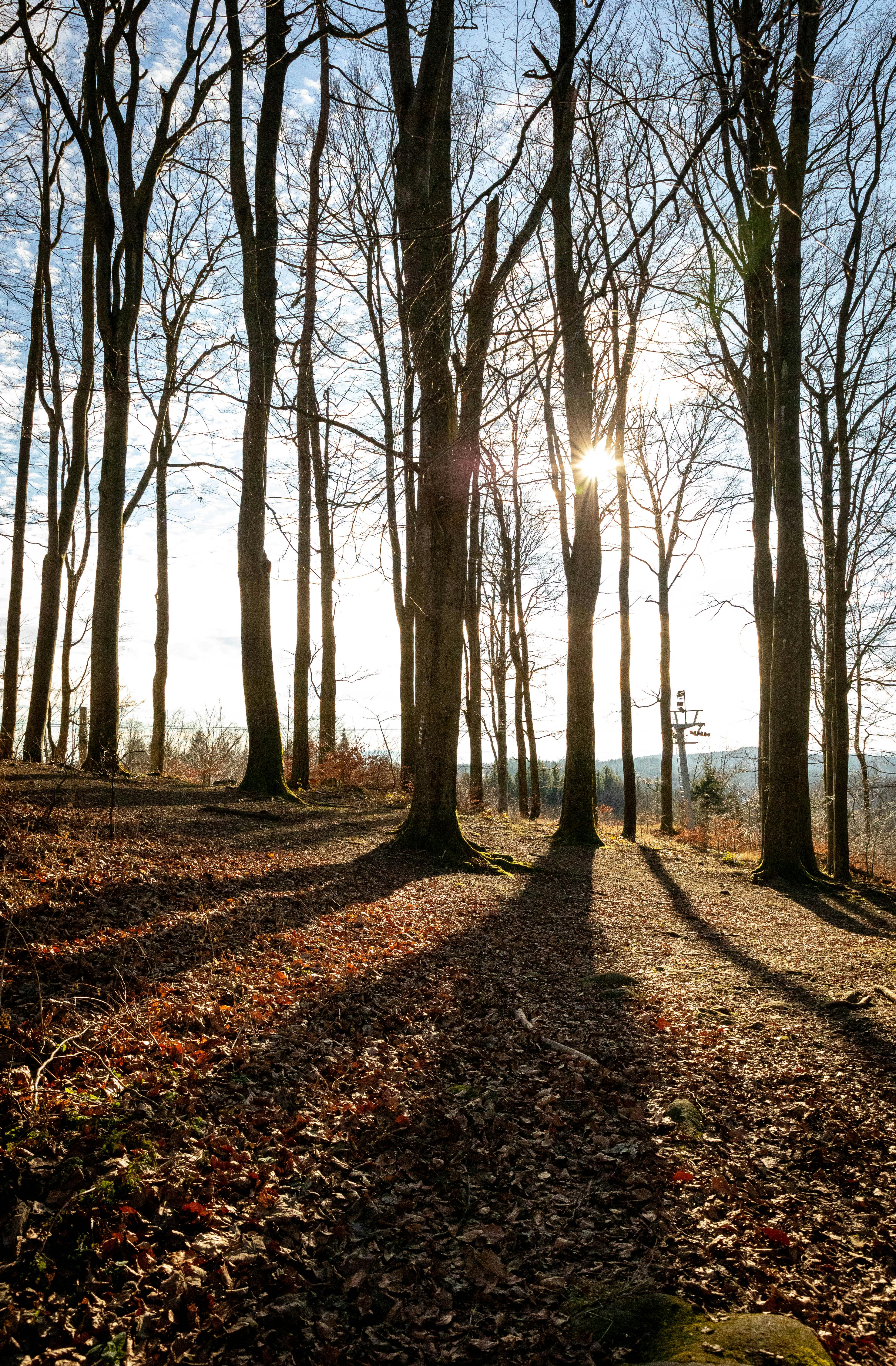 Morning Sun Drowing Photos, Download The BEST Free Morning Sun Drowing ...