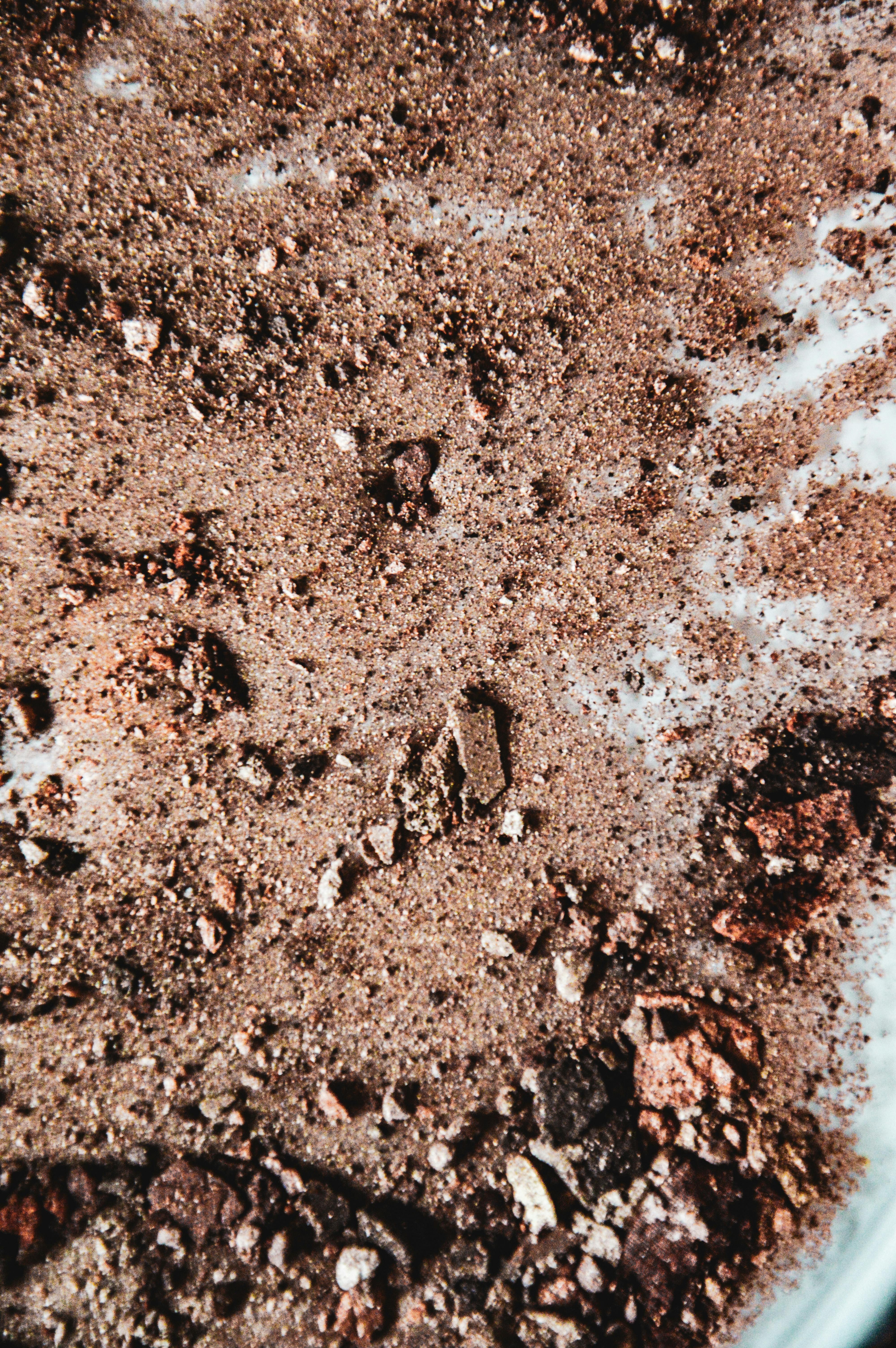 Close-up of Earthy Soil Texture with Rocks · Free Stock Photo
