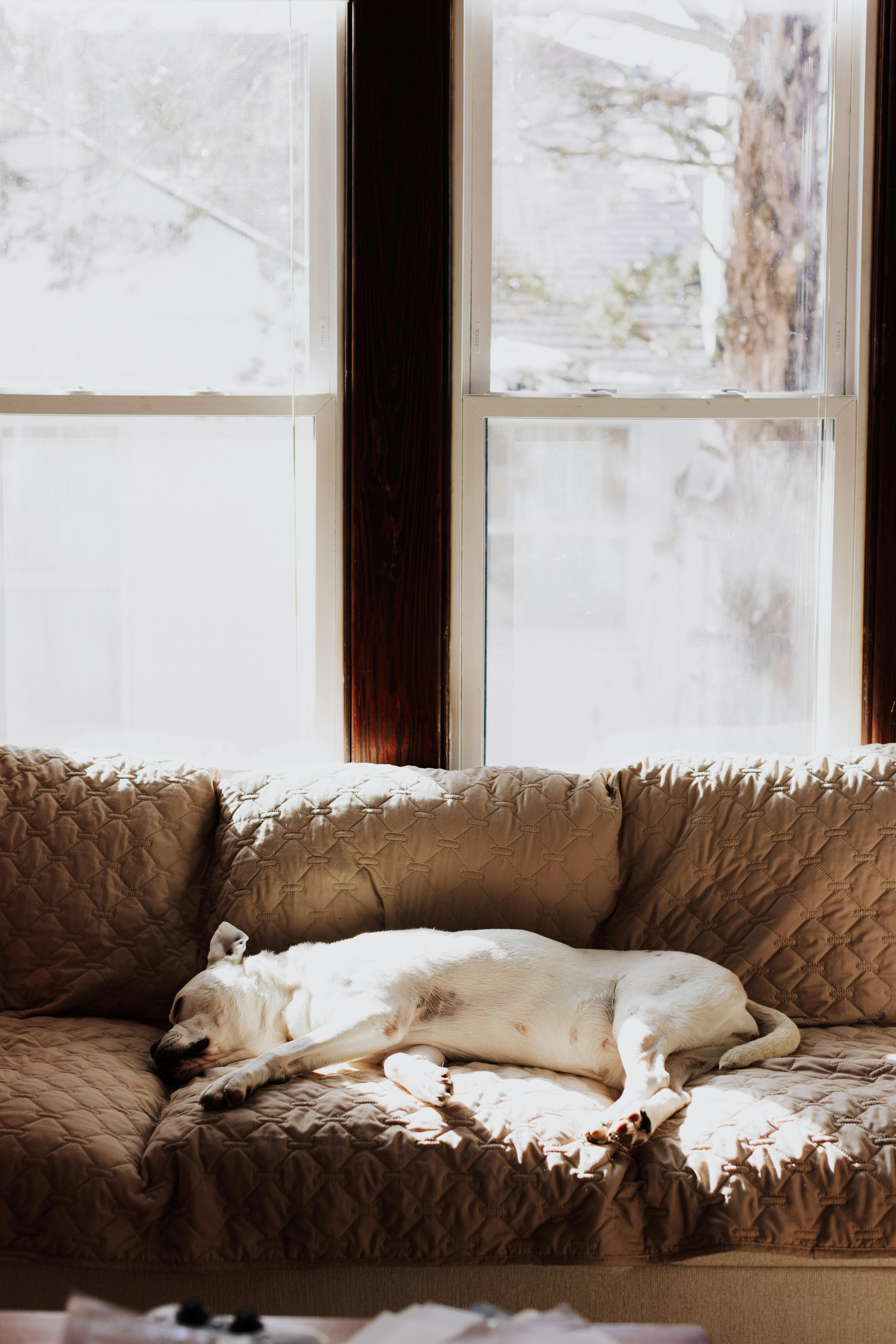 Life Cycle Photos, Download The BEST Free Life Cycle Stock Photos & HD ...