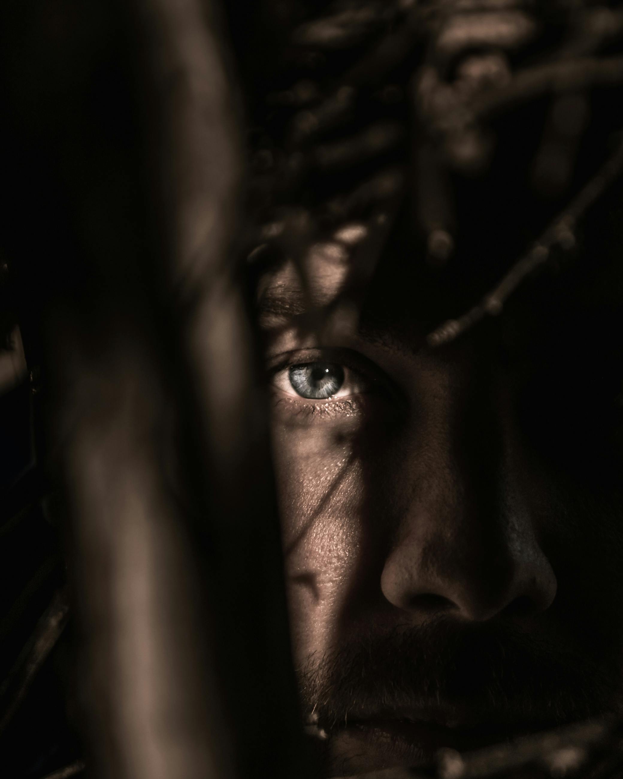 Man peaking through twigs in forest · Free Stock Photo