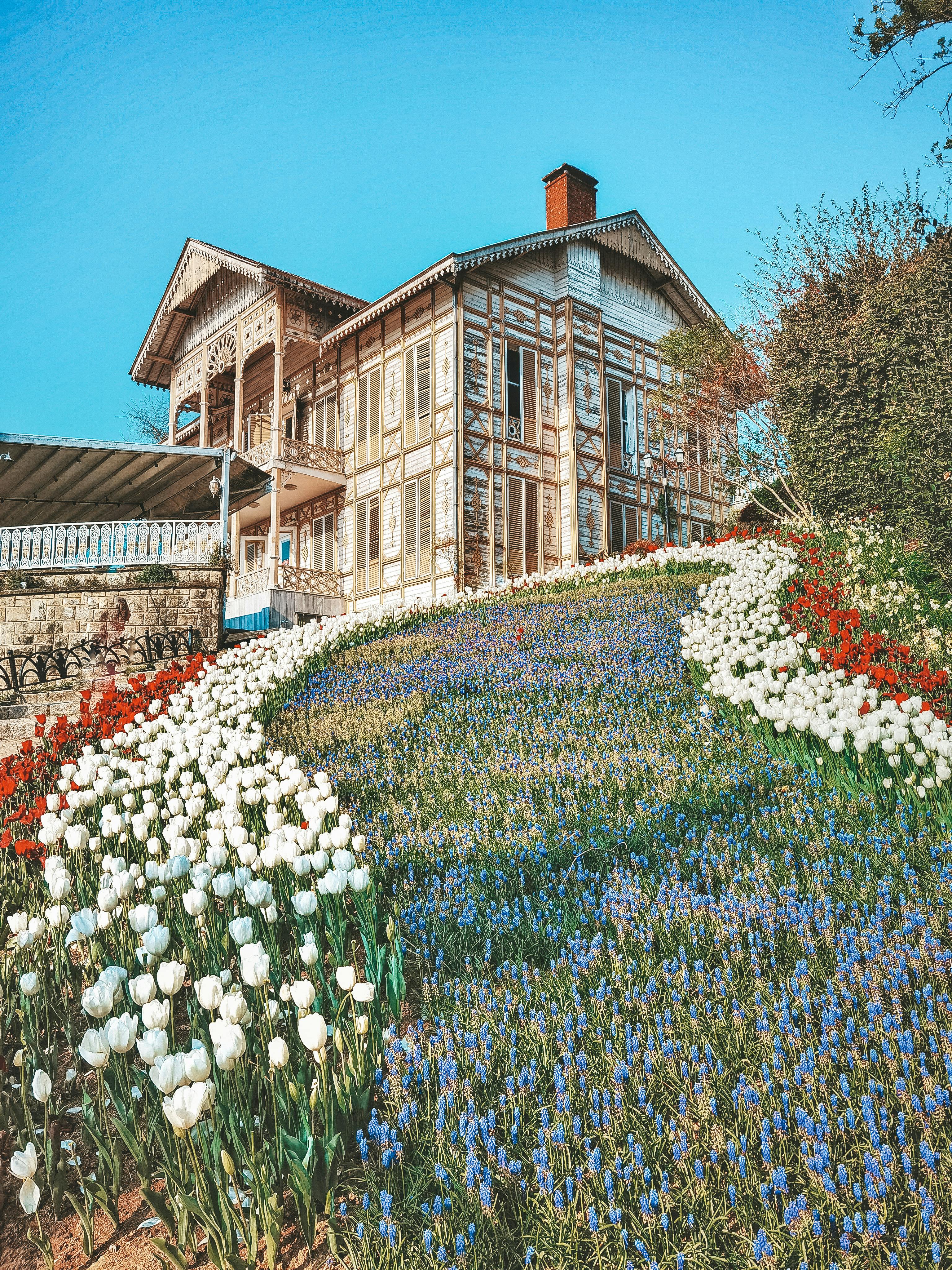 Charming Ottoman-style house in Istanbul garden · Free Stock Photo