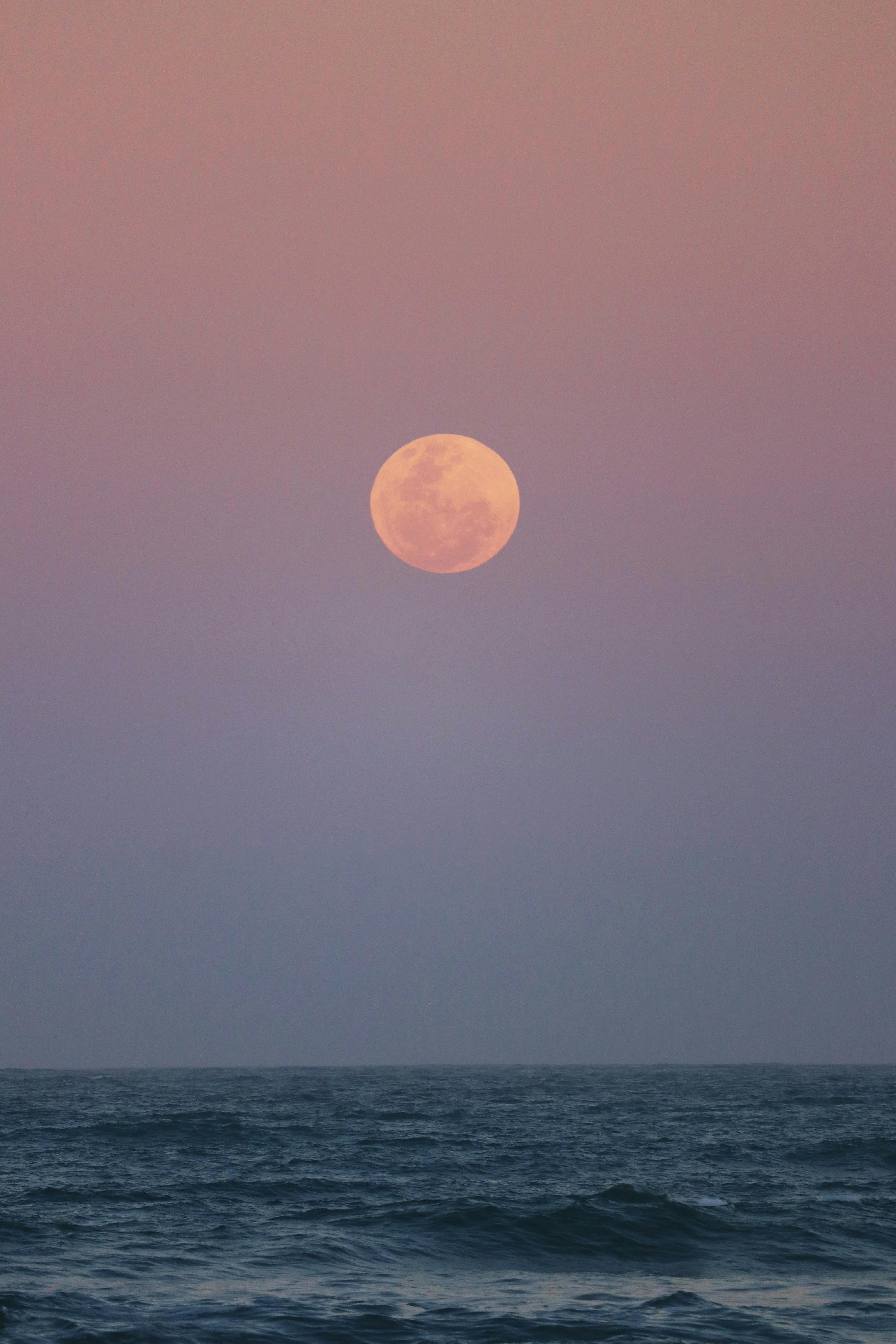 Red Moon Rising Wallpaper