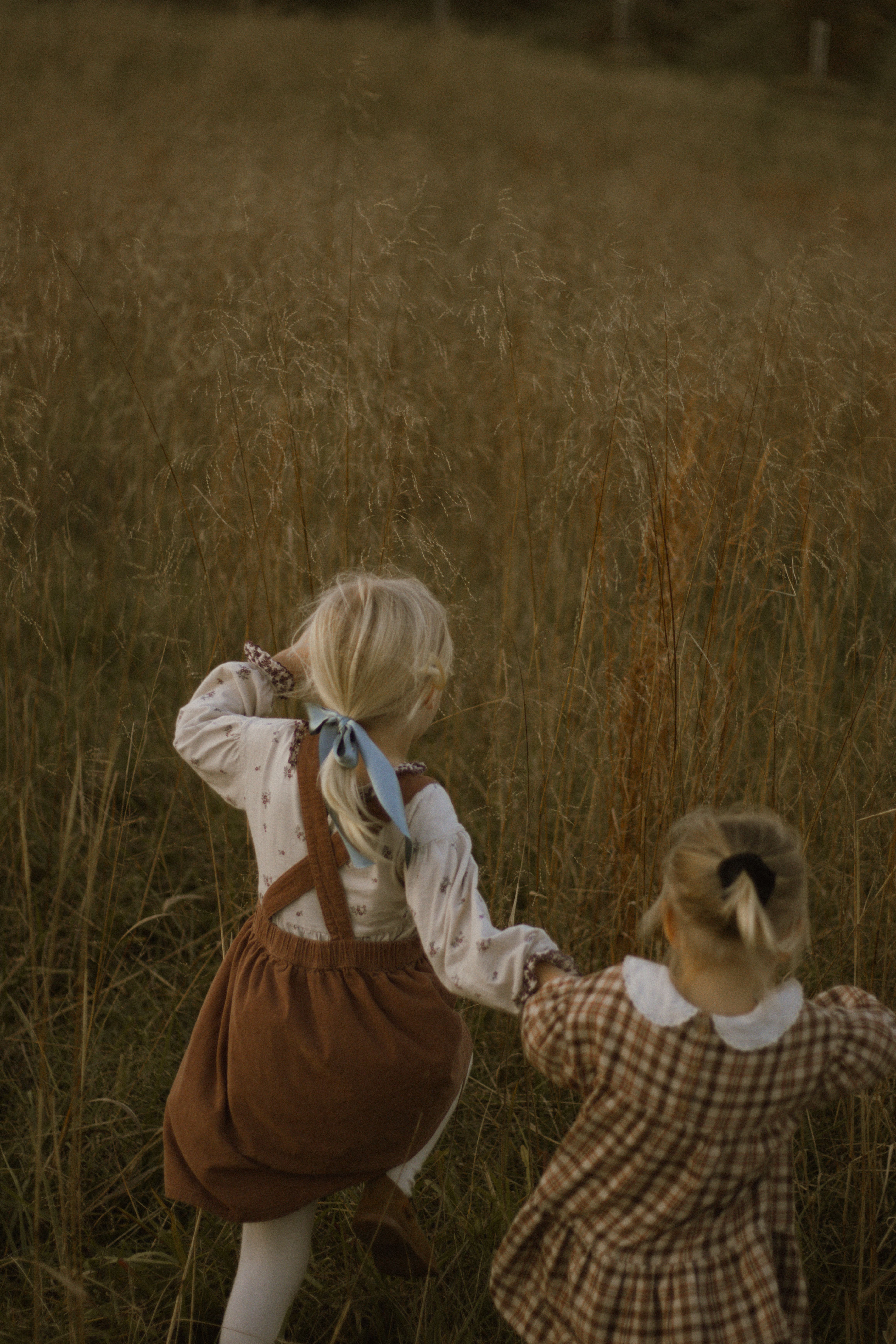 Children Enjoying Outdoor Nature Walk in Autumn · Free Stock Photo