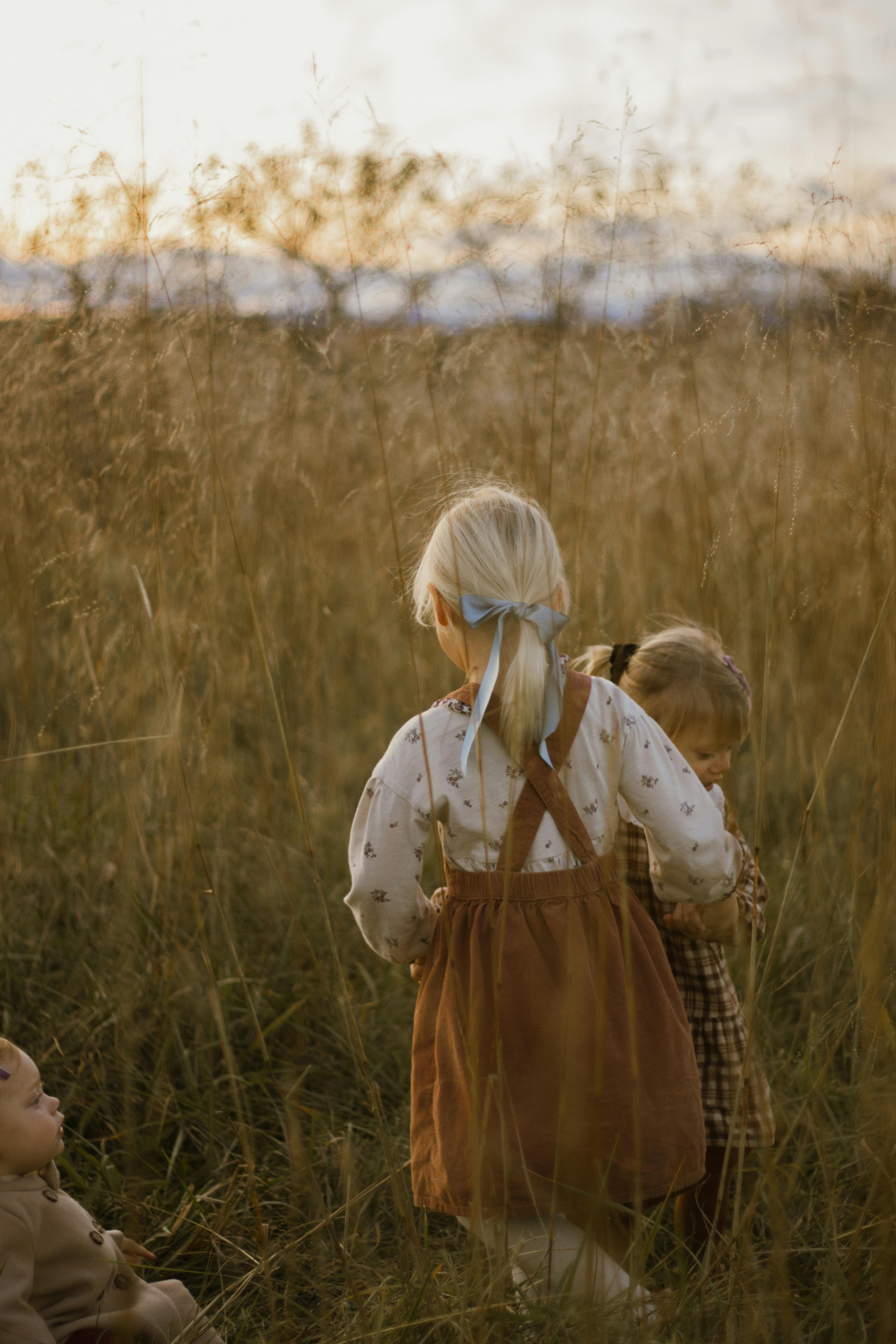 Charming Kids in Golden Field at Sunset · Free Stock Photo