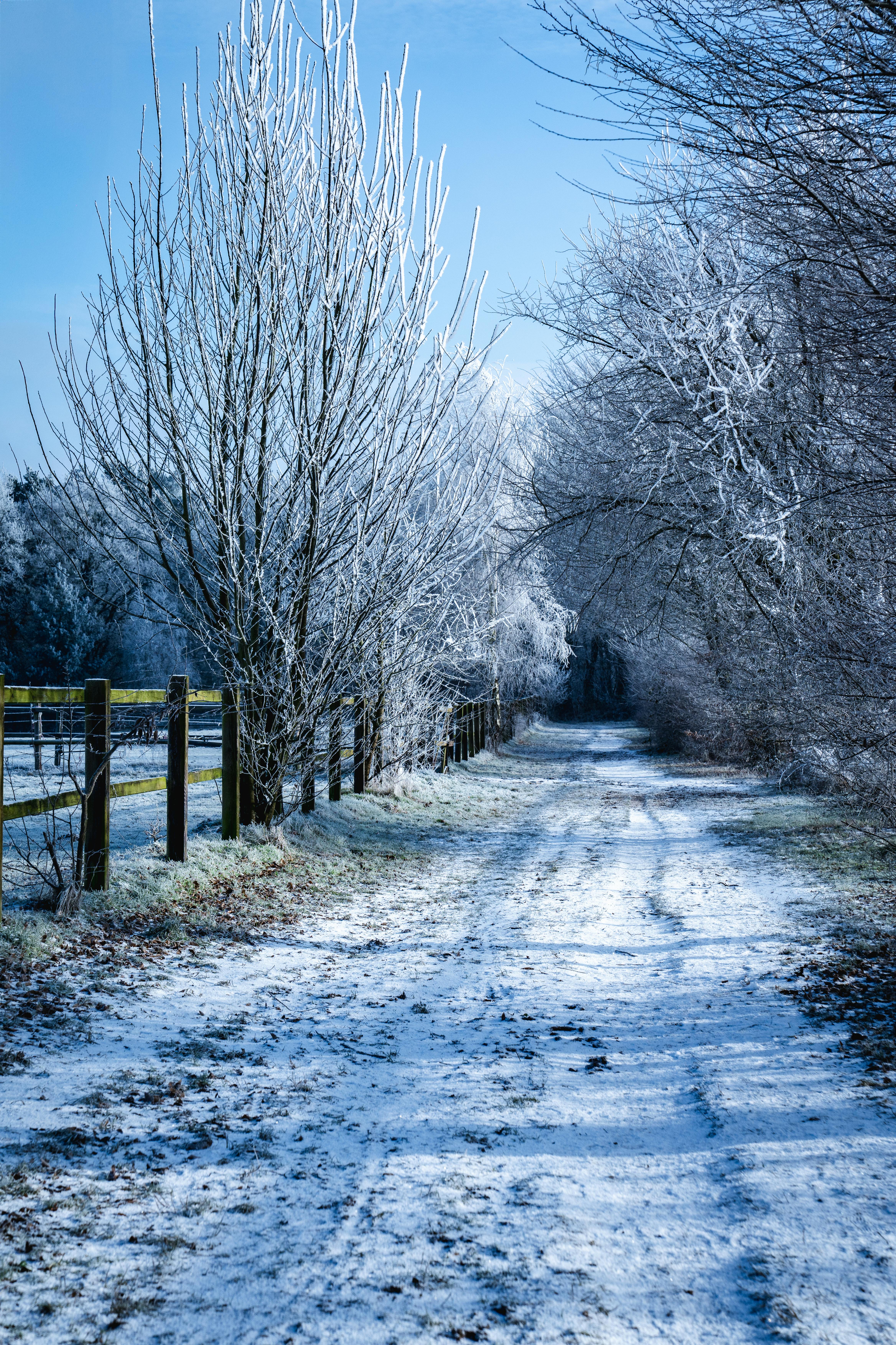 Frosty Winter Pathway through Snowy Landscape · Free Stock Photo