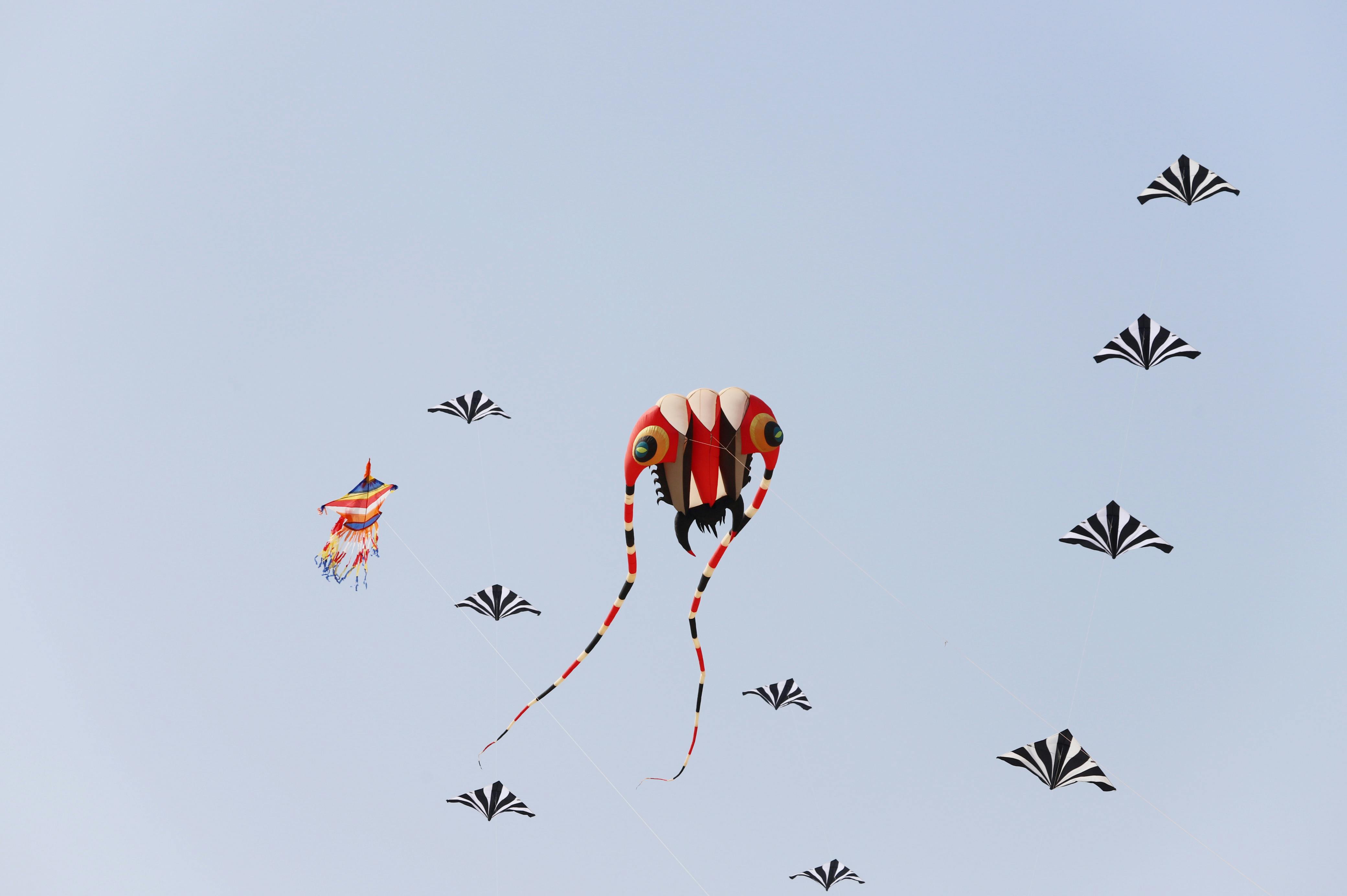 Colorful Animal-Shaped Kites Flying in Blue Sky · Free Stock Photo